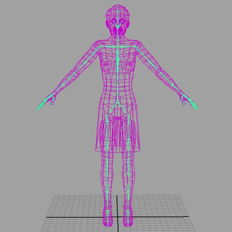 Rigged Beautiful Woman - 3D Model by Cgtools