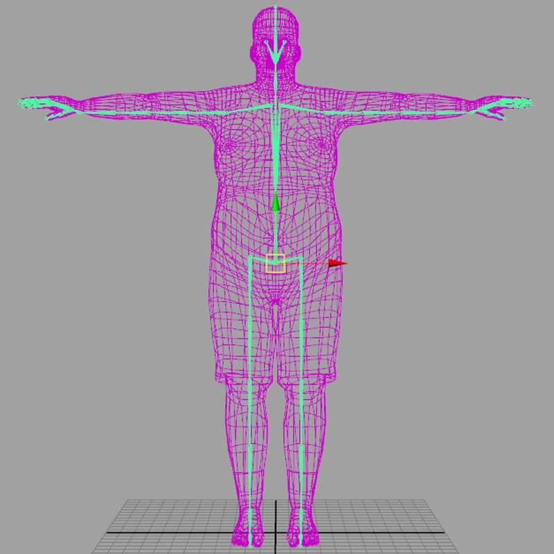 Rigged Fat Man - 3D Model by Cgtools