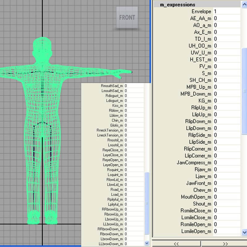 Rigged Man - 3D Model by Cgtools