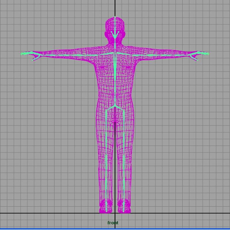 Rigged Man - 3D Model by Cgtools