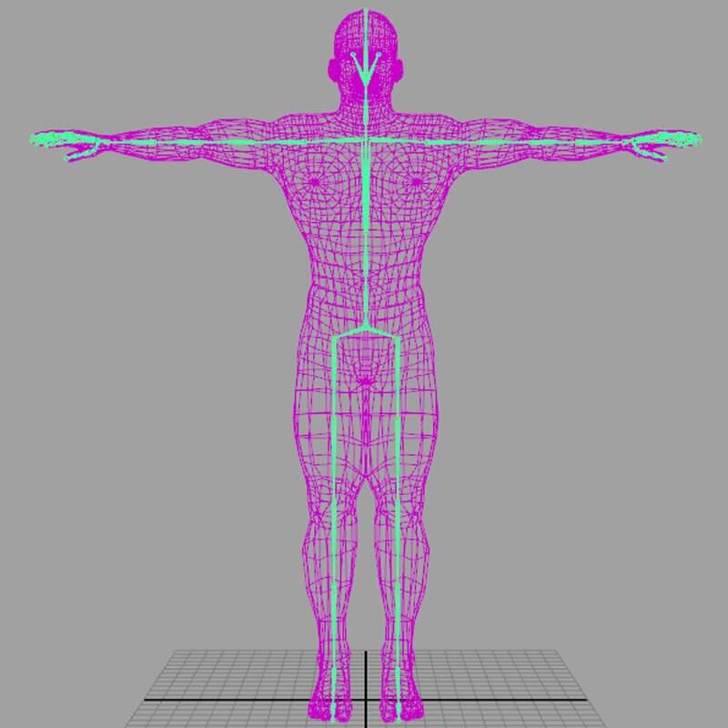 Rigged Muscular Man - 3D Model by Cgtools