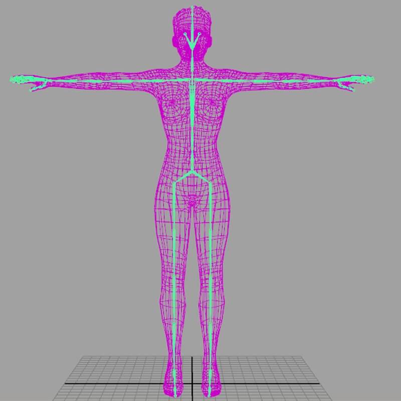 Rigged Pretty Woman - 3D Model by Cgtools