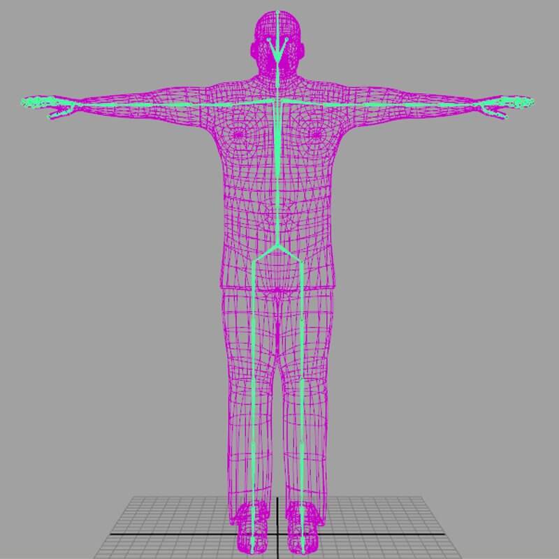 Rigged Young Man - 3D Model by Cgtools