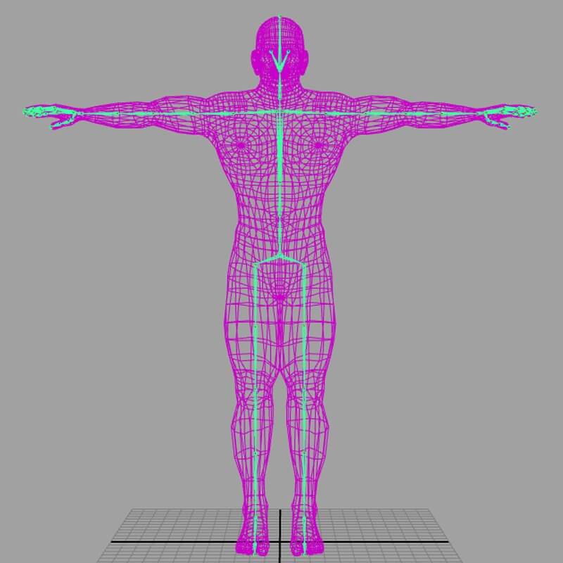 Rigged Young Muscular Man - 3D Model by Cgtools