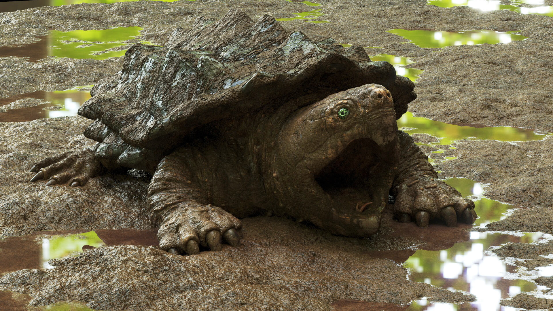 Alligator Snapping Turtle 3D Render, Digital Art by CGZen