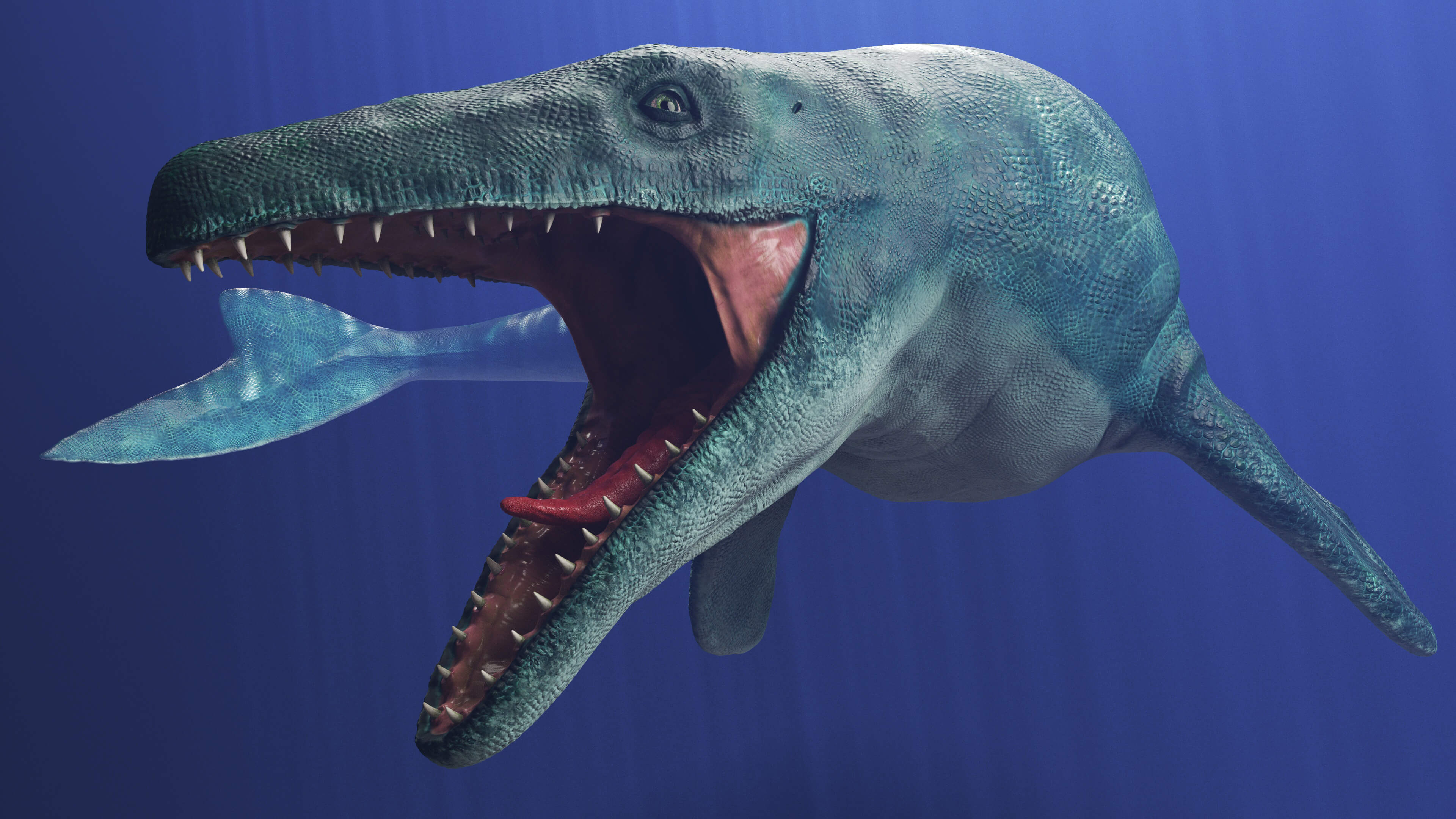 Mosasaurus hoffmannii 3D Render, Digital Art by CGZen