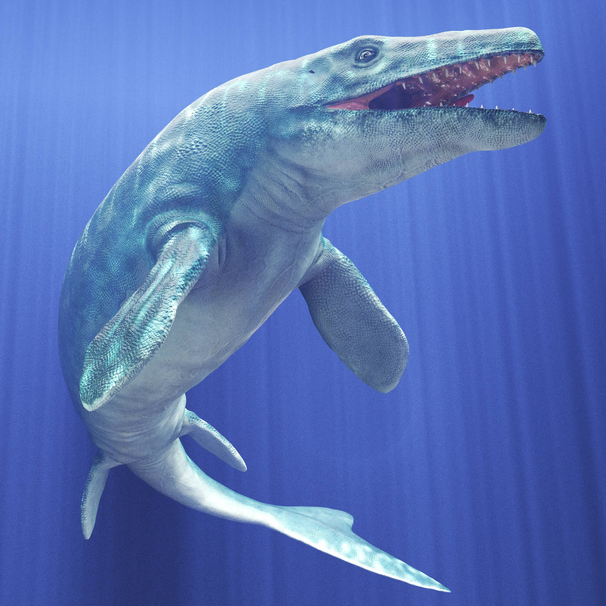 Mosasaurus hoffmannii 3D Render, Digital Art by CGZen