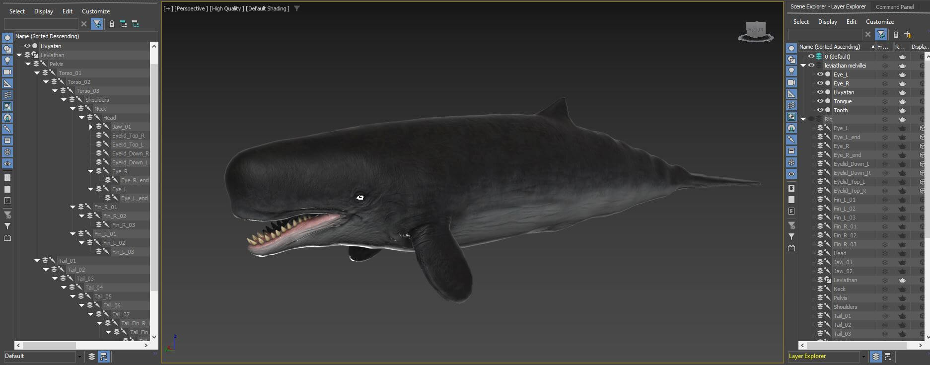 Livyatan Melvillei Moby Dick Whale - 3D Model by CGZen