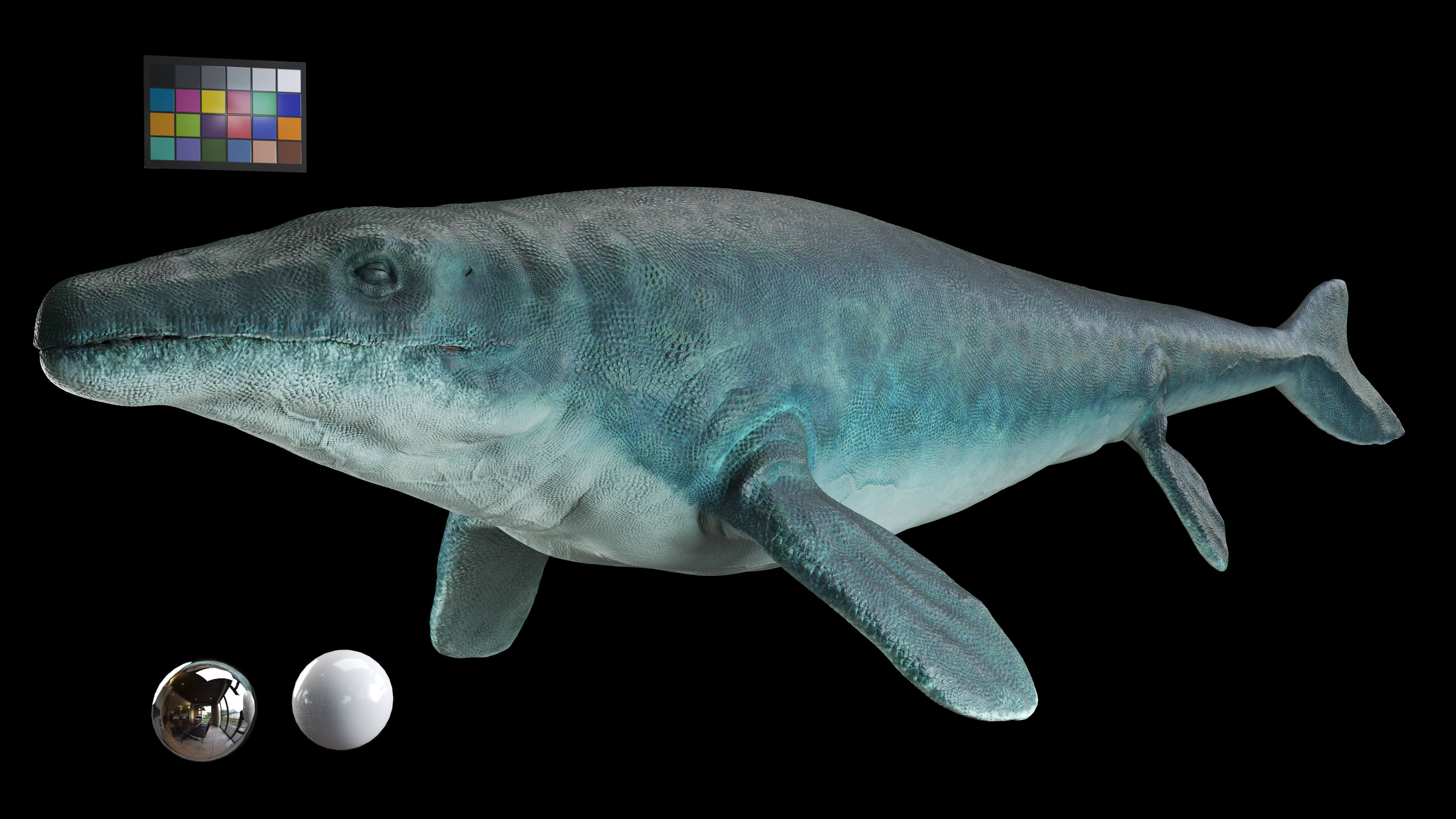 Mosasaurus hoffmannii - 3D Model by CGZen