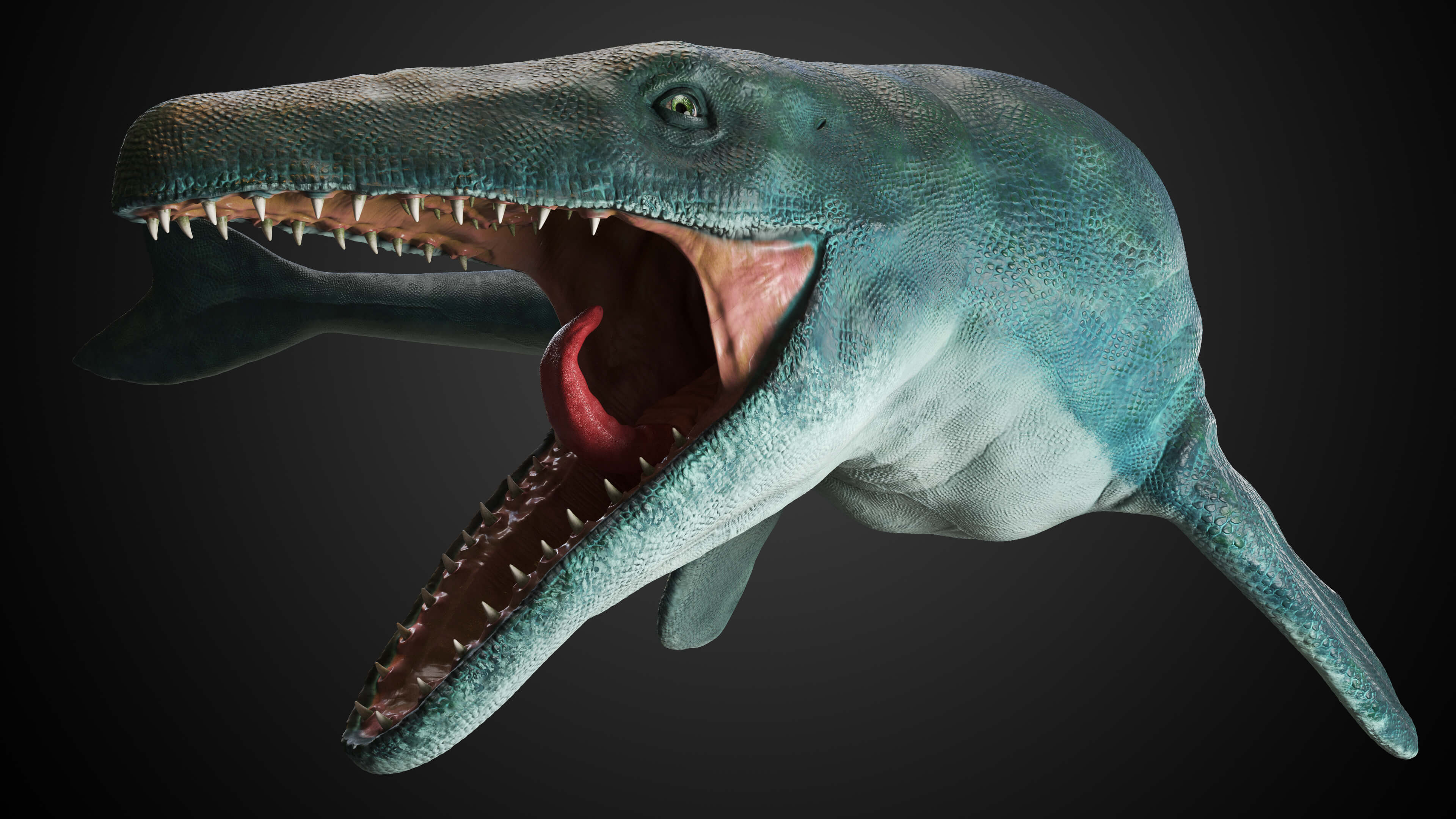 Mosasaurus hoffmannii - 3D Model by CGZen