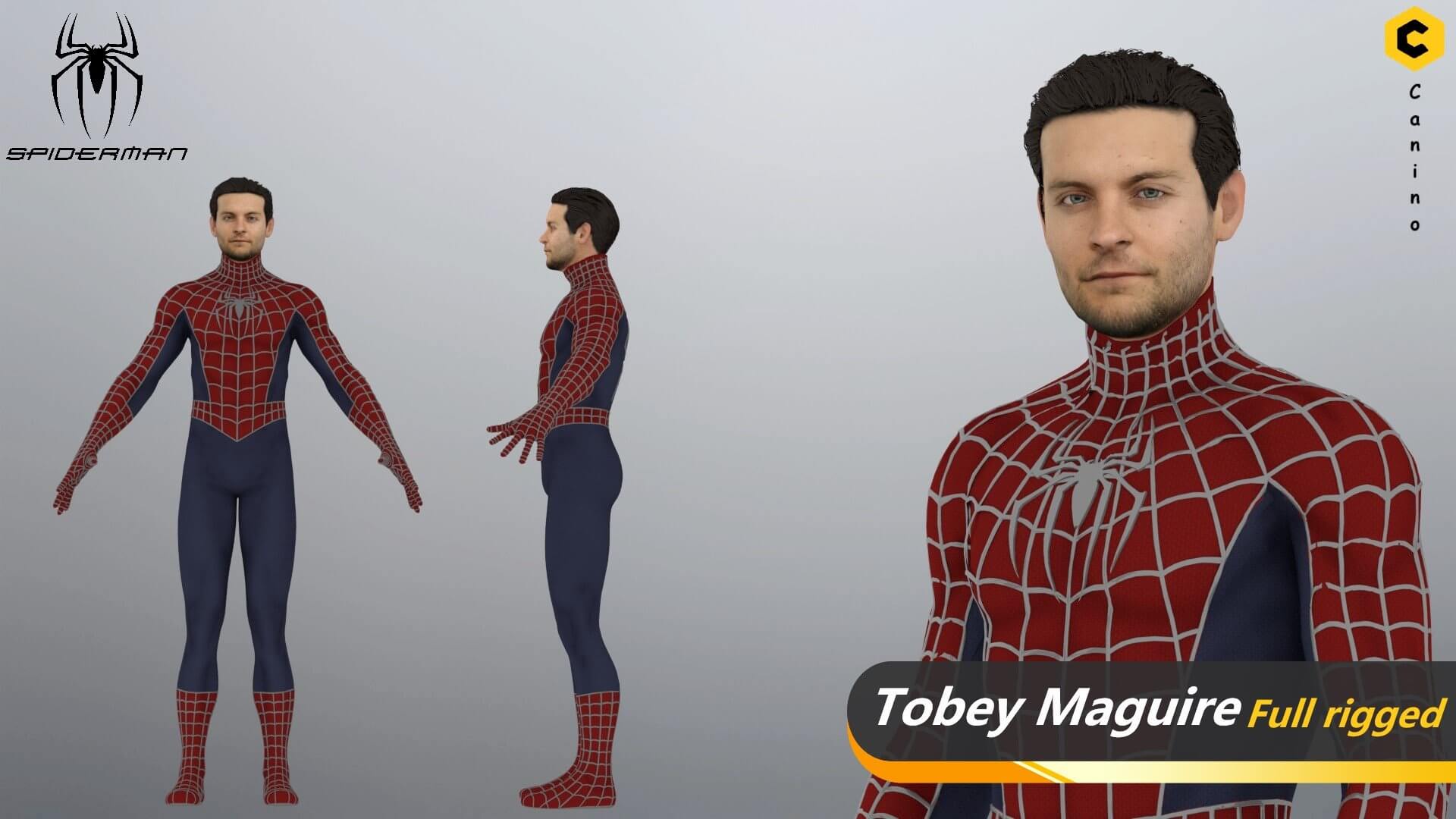 Tobey Maguire from Spiderman - 3D Model by Challento