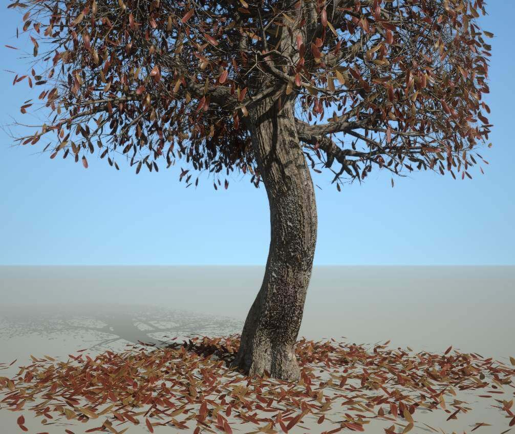 Box Shaped Tree (4 season) - 3D Model by chamsb11