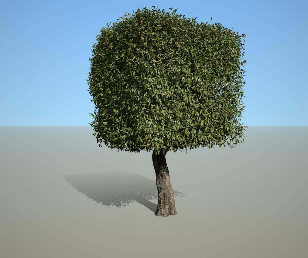 Box Shaped Tree Pack (4 season) - 3D Model by chamsb11