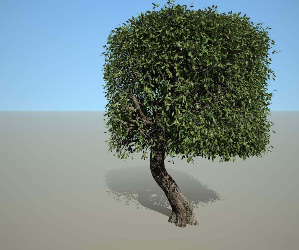 Box Shaped Tree Pack (4 season) - 3D Model by chamsb11