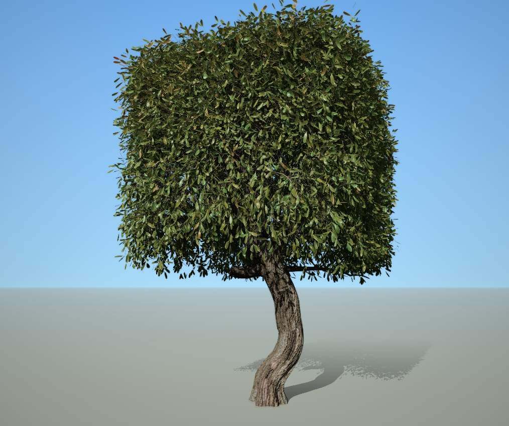 Box Shaped Tree Pack (4 season) - 3D Model by chamsb11