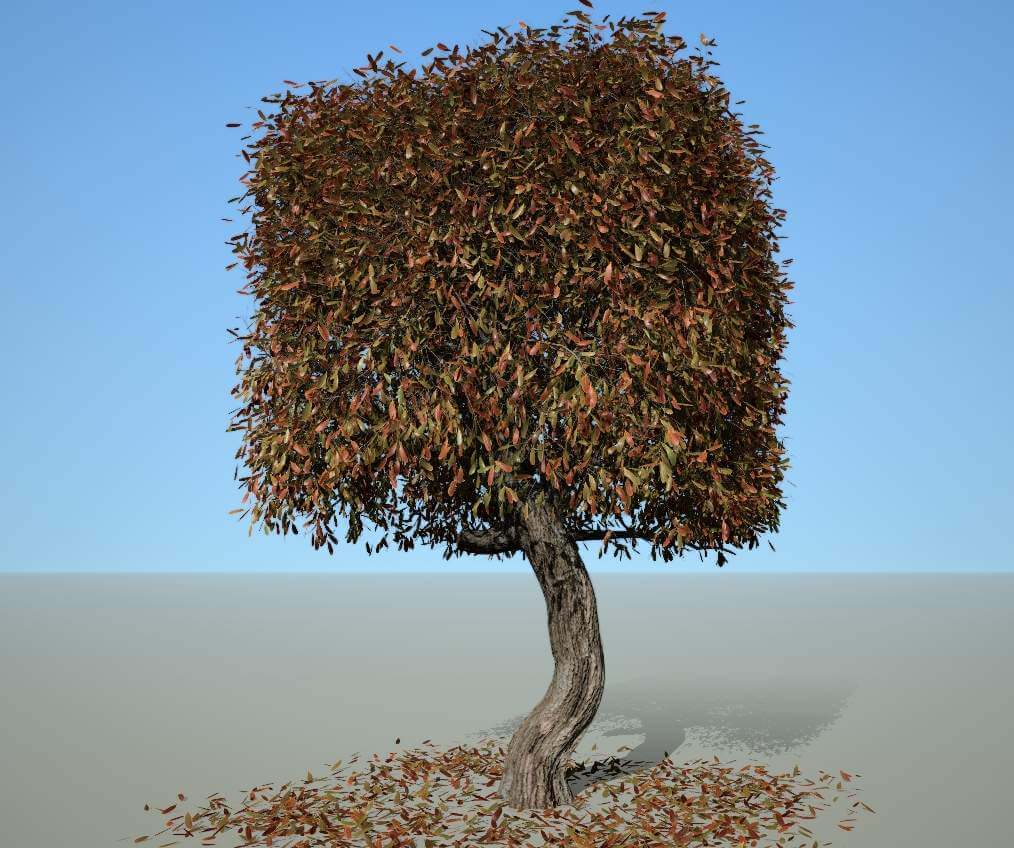 Box Shaped Tree Pack (4 season) - 3D Model by chamsb11
