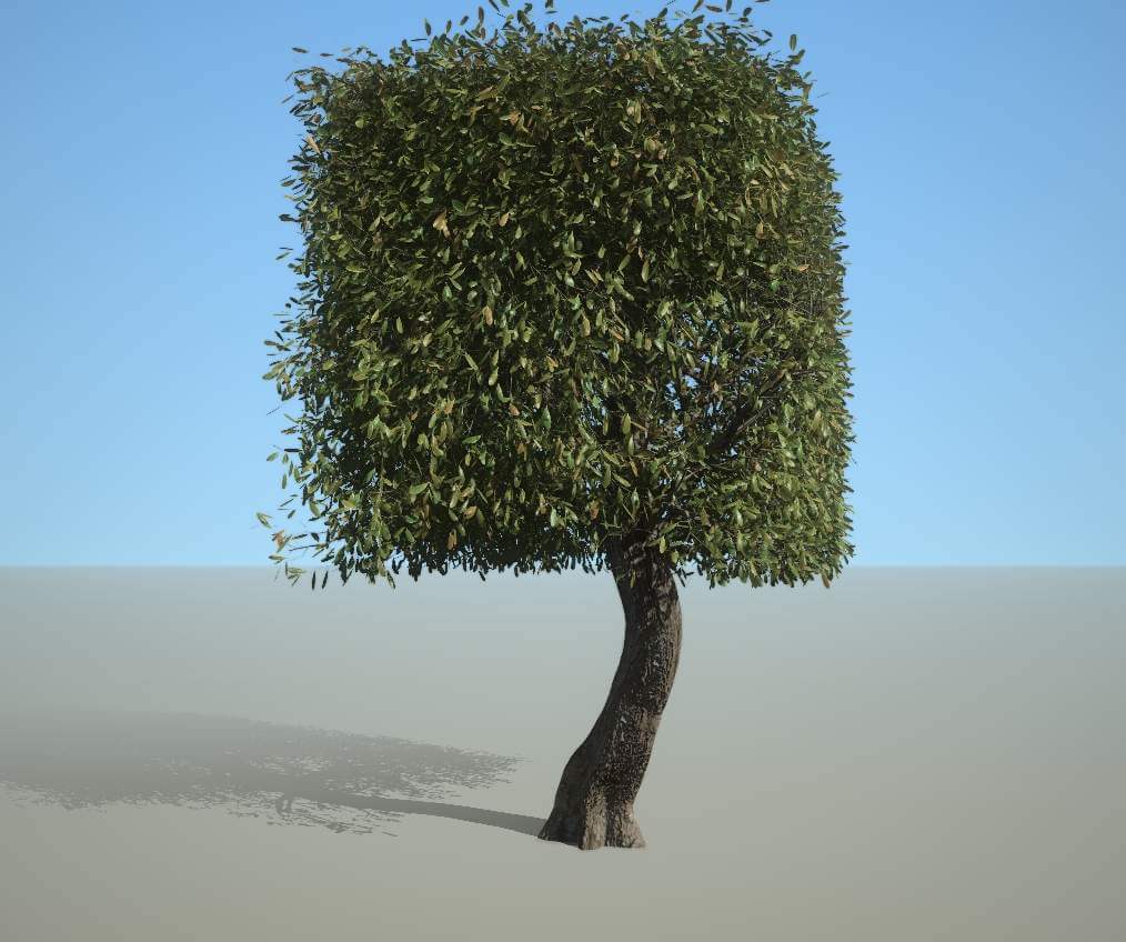 Box Shaped Tree Pack (4 season) - 3D Model by chamsb11