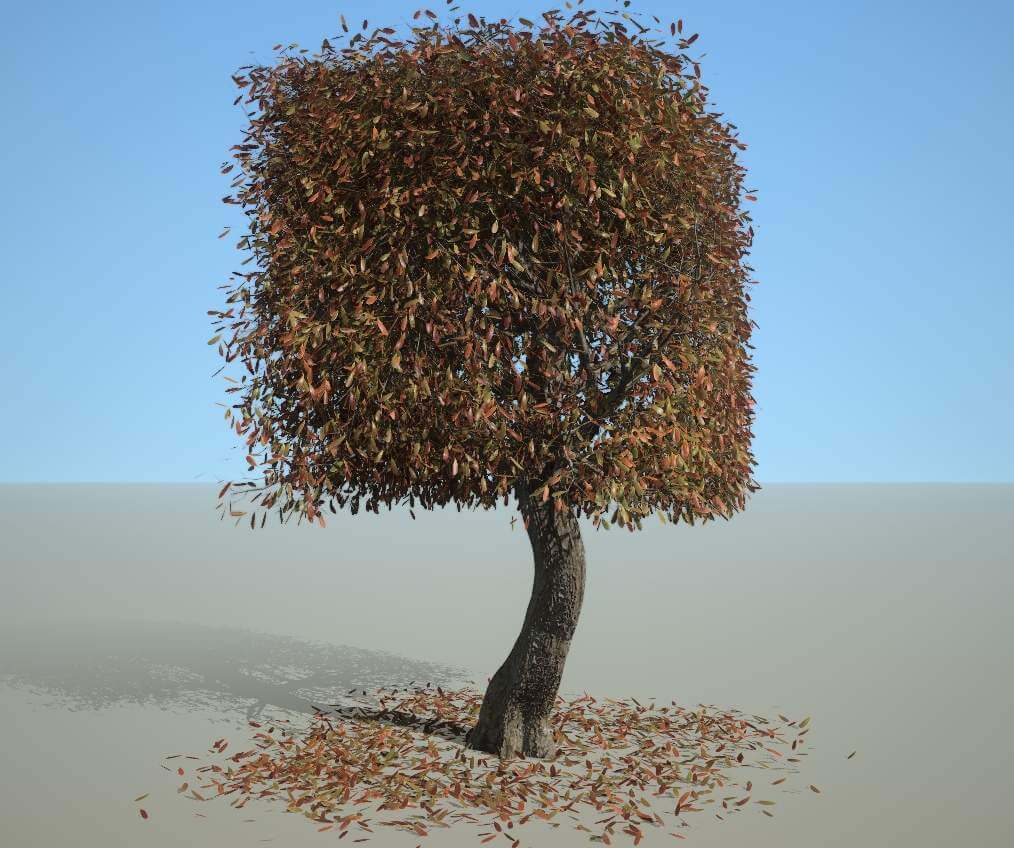 Box Shaped Tree Pack (4 season) - 3D Model by chamsb11
