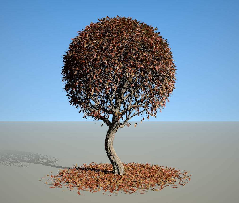 Spherical Shaped Tree (4 season) - 3D Model by chamsb11