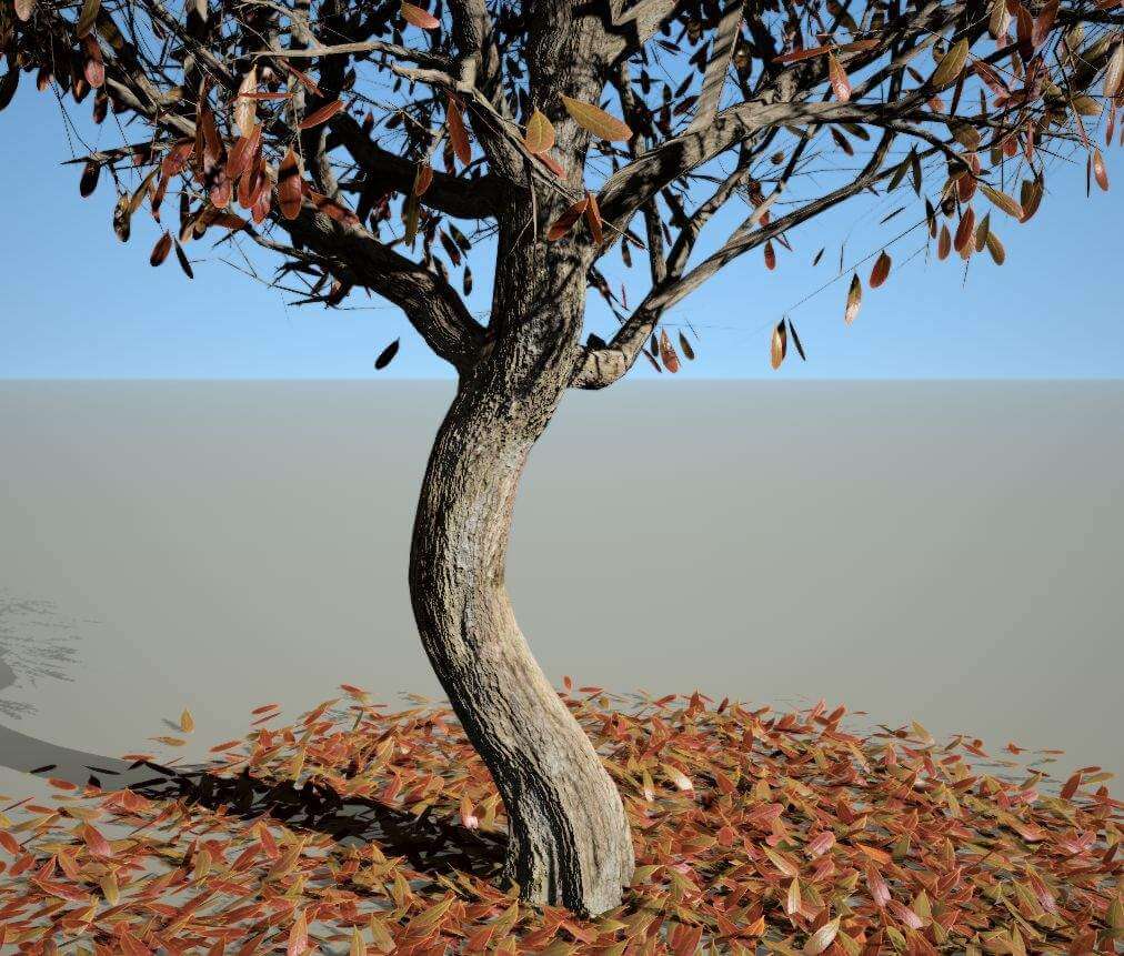 Spherical Shaped Tree (4 season) - 3D Model by chamsb11