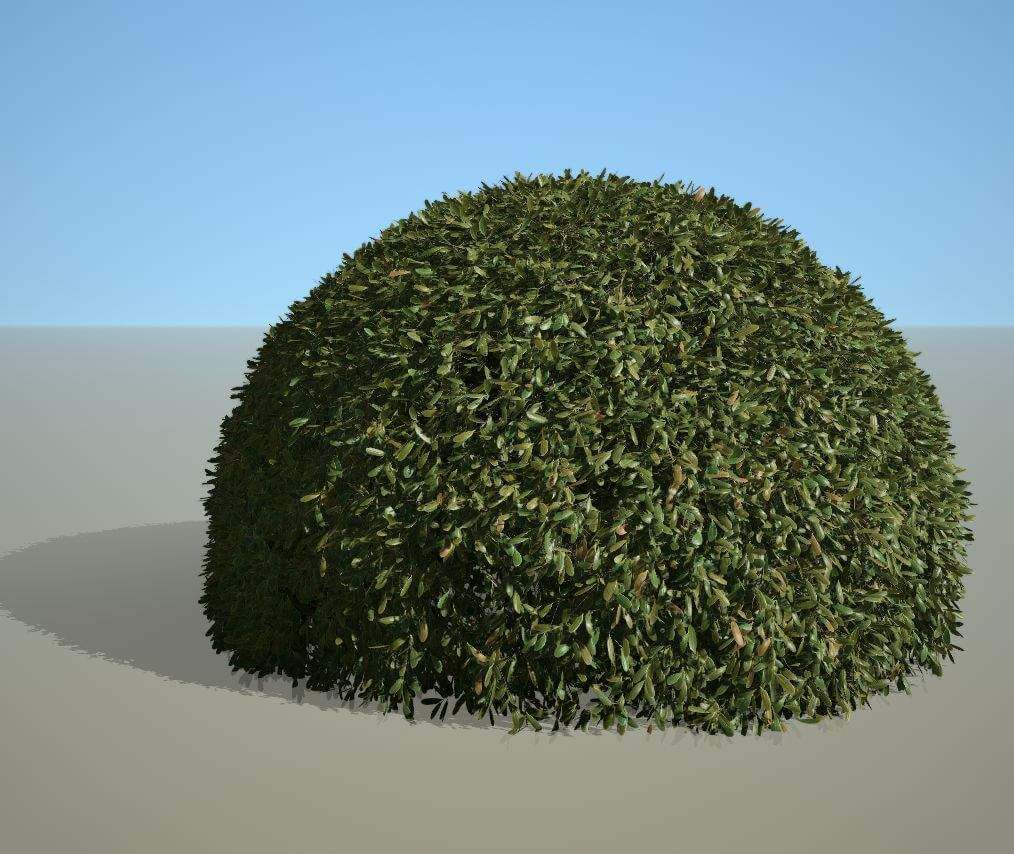Ground Tree (4 season) - 3D Model by chamsb11