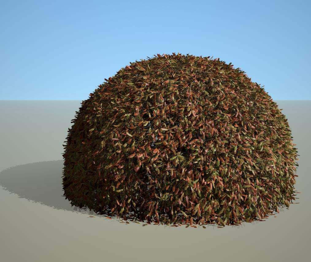 Ground Tree (4 season) - 3D Model by chamsb11