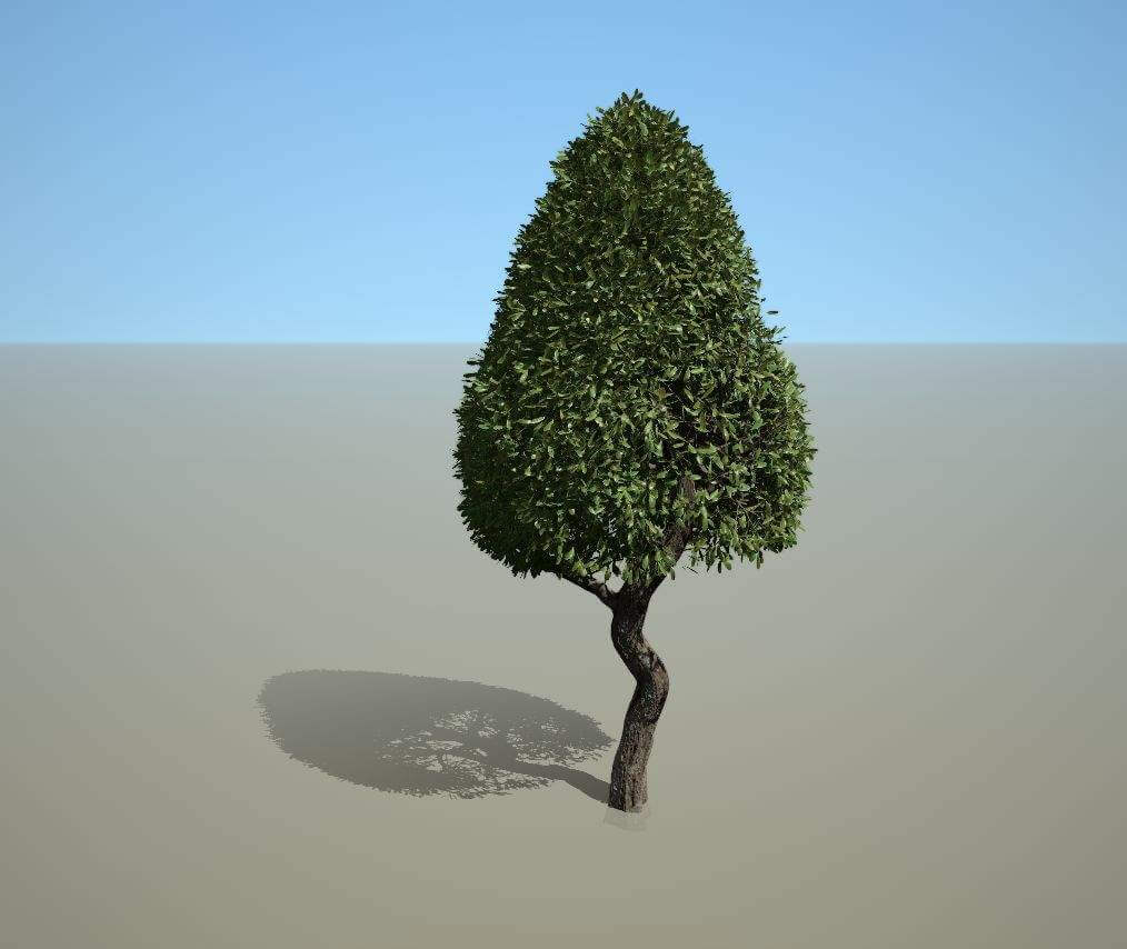 V Shaped Tree (4 season) - 3D Model by chamsb11