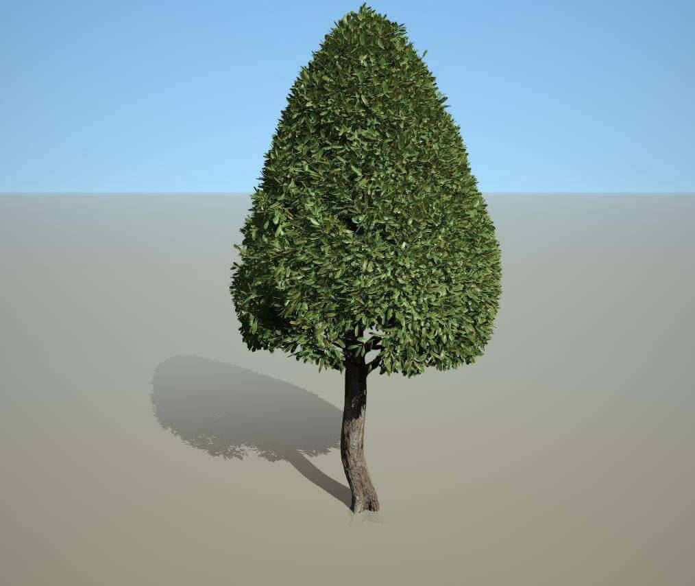 V Shaped Tree (4 season) - 3D Model by chamsb11
