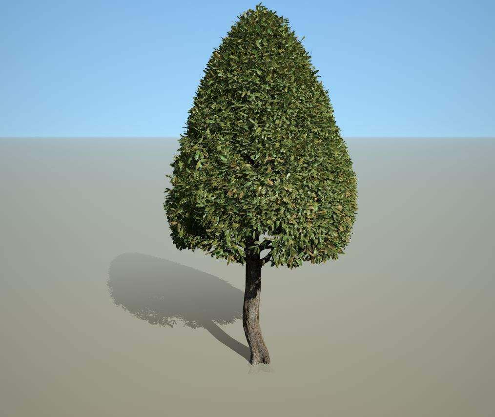 V Shaped Tree (4 season) - 3D Model by chamsb11