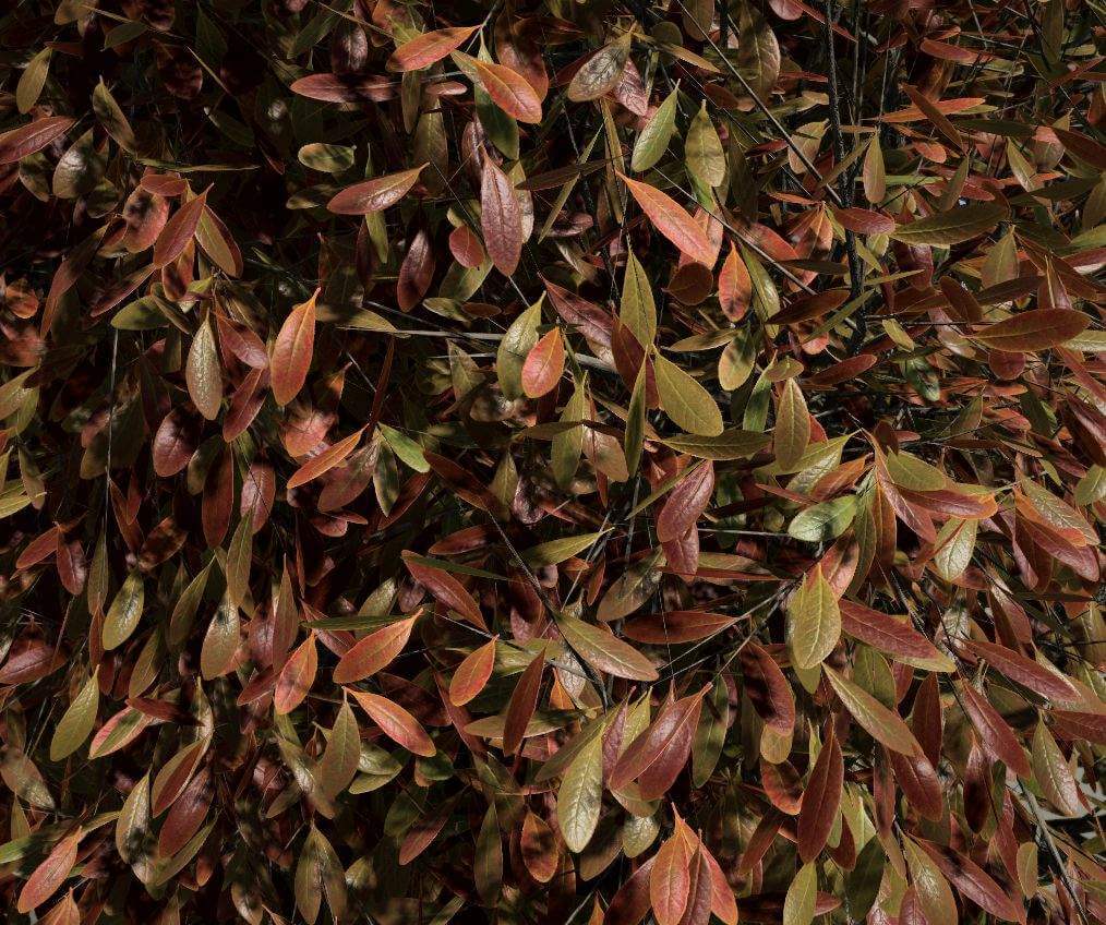 V Shaped Tree (4 season) - 3D Model by chamsb11