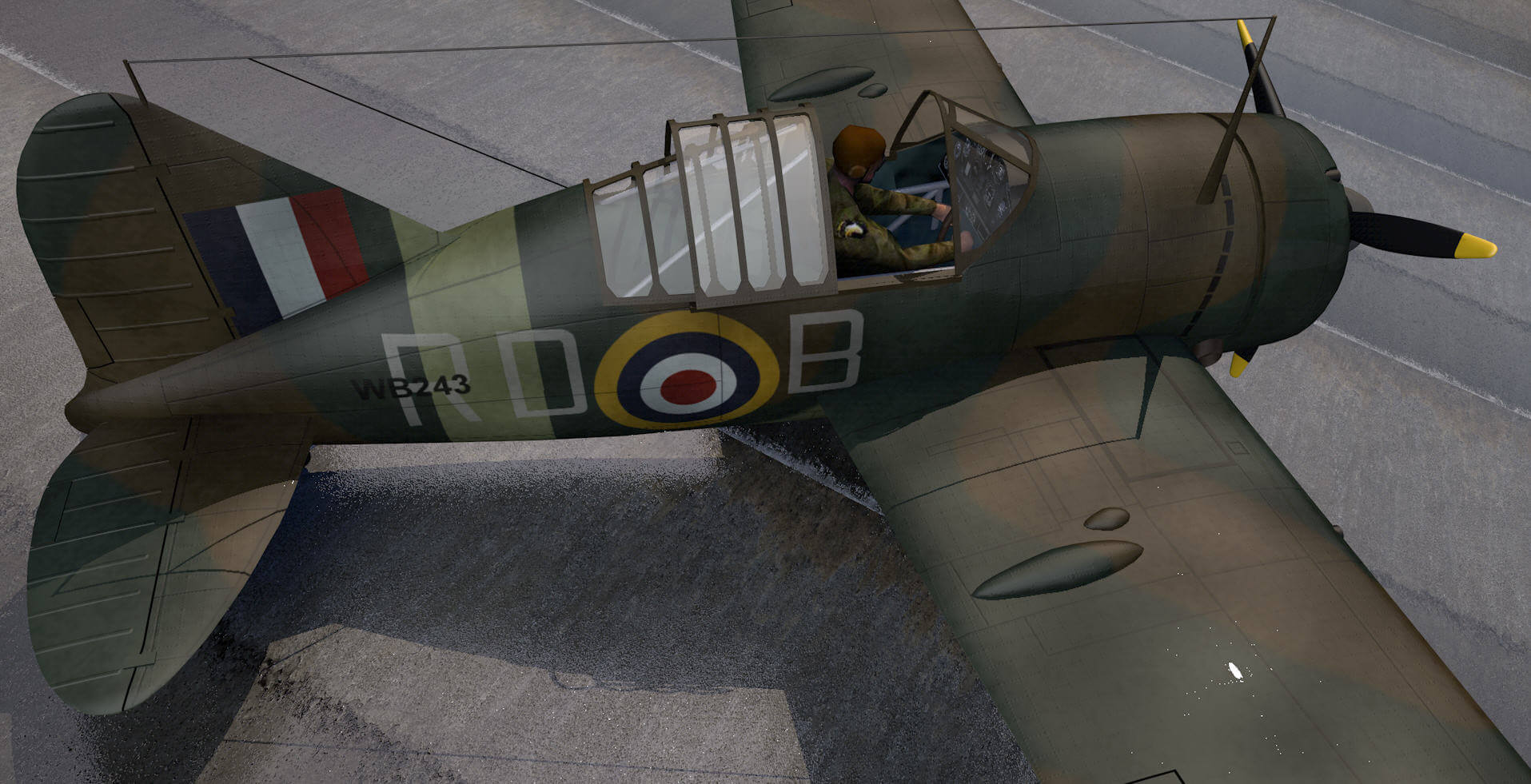 Brewster F2A-1 Buffalo 3D Model by ChipBassChaos