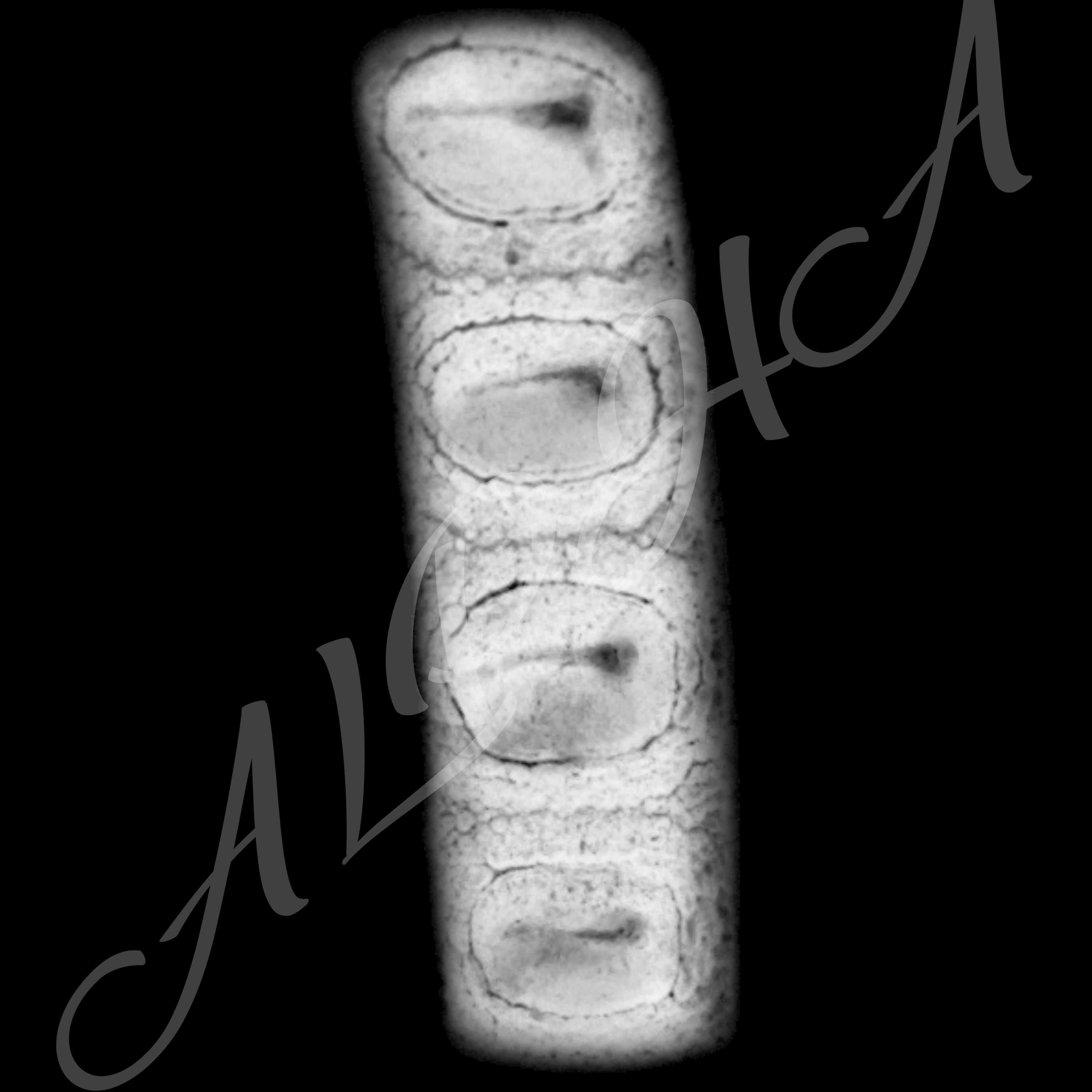 Skin 120 Alpha Patterns 4K Size Full Pack - 3D Texture by chiraggg_02