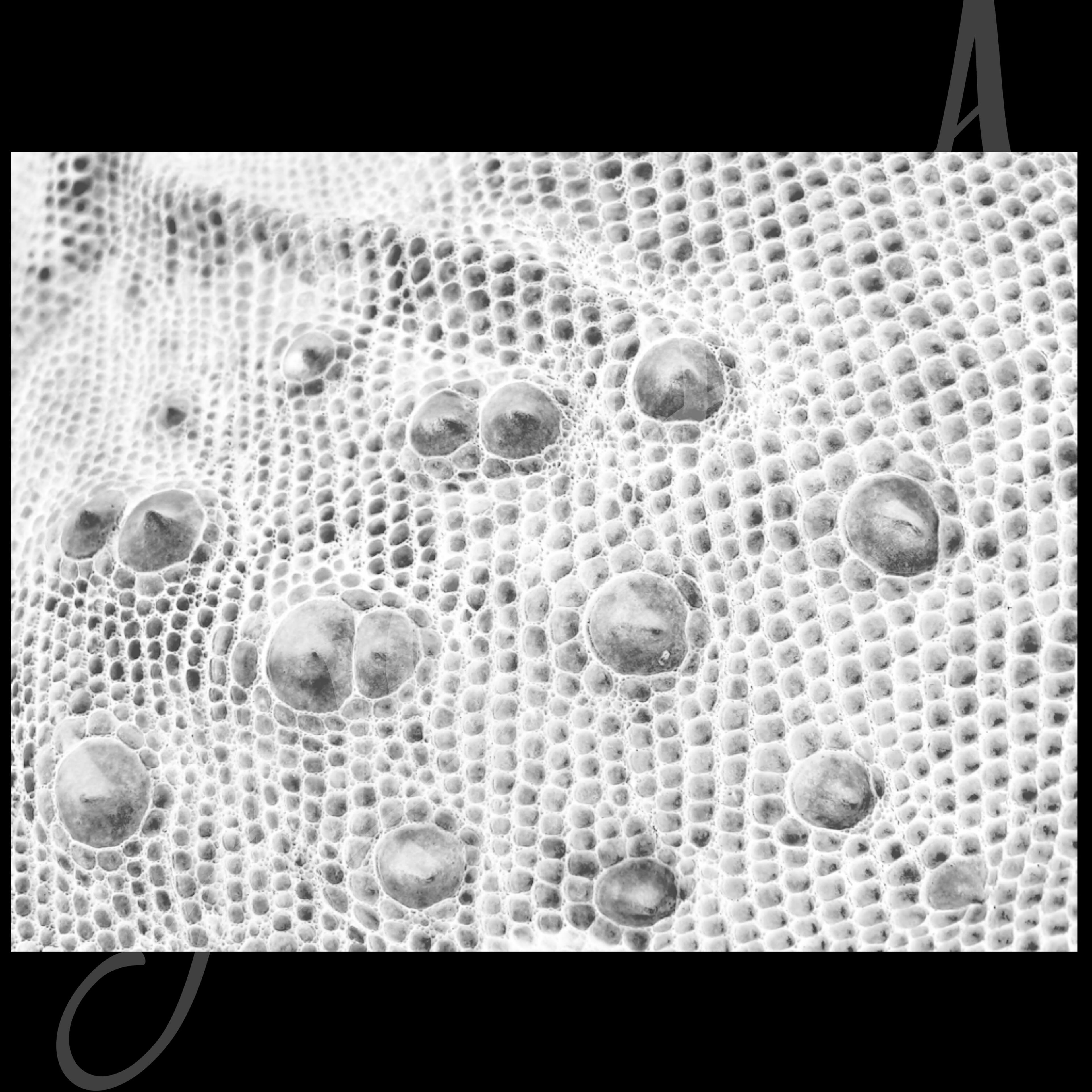 Skin 240 Alpha Patterns 4K Size Full Pack - 3D Texture by chiraggg_02