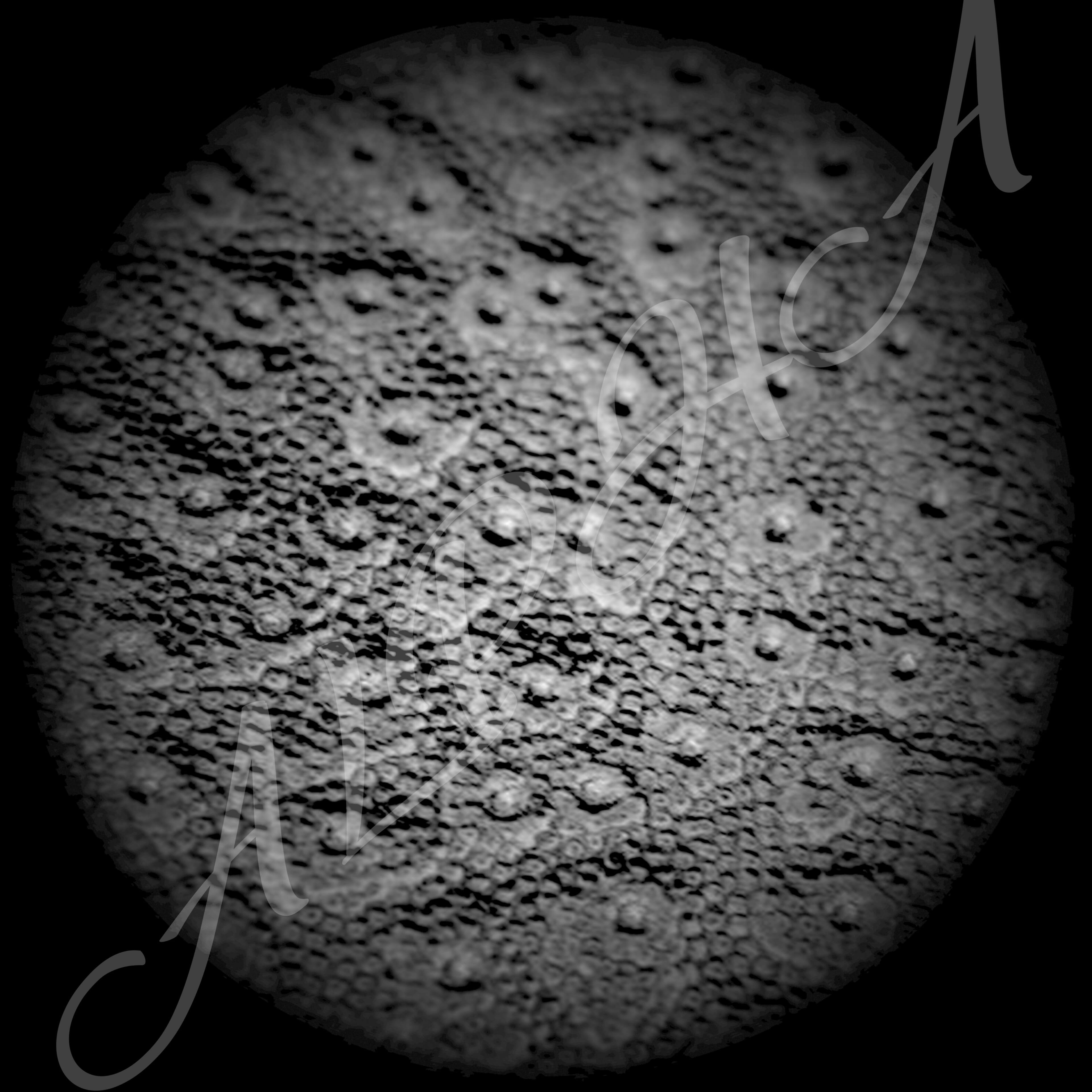 Skin 240 Alpha Patterns 4K Size Full Pack - 3D Texture by chiraggg_02