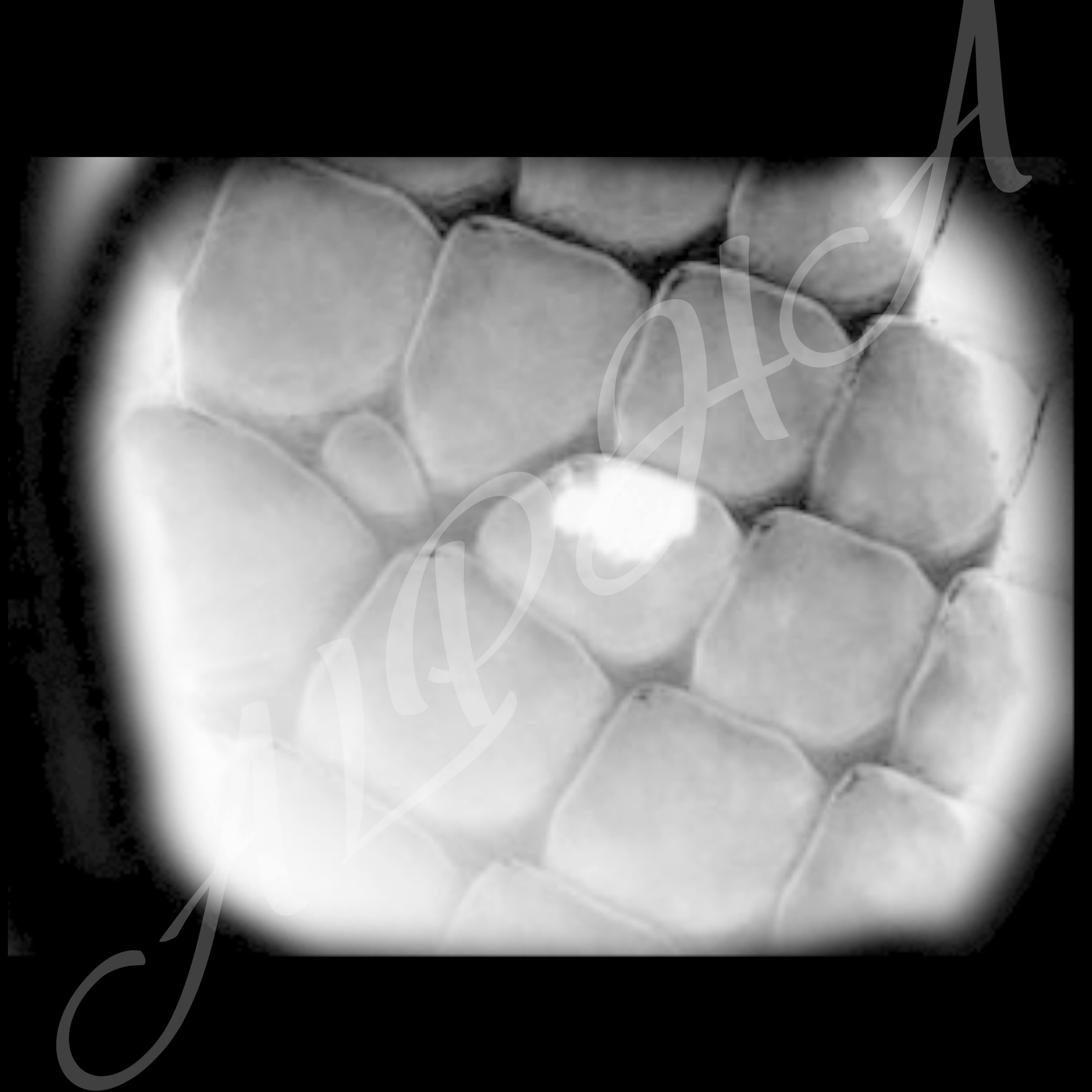 Skin 240 Alpha Patterns 4K Size Full Pack - 3D Texture by chiraggg_02