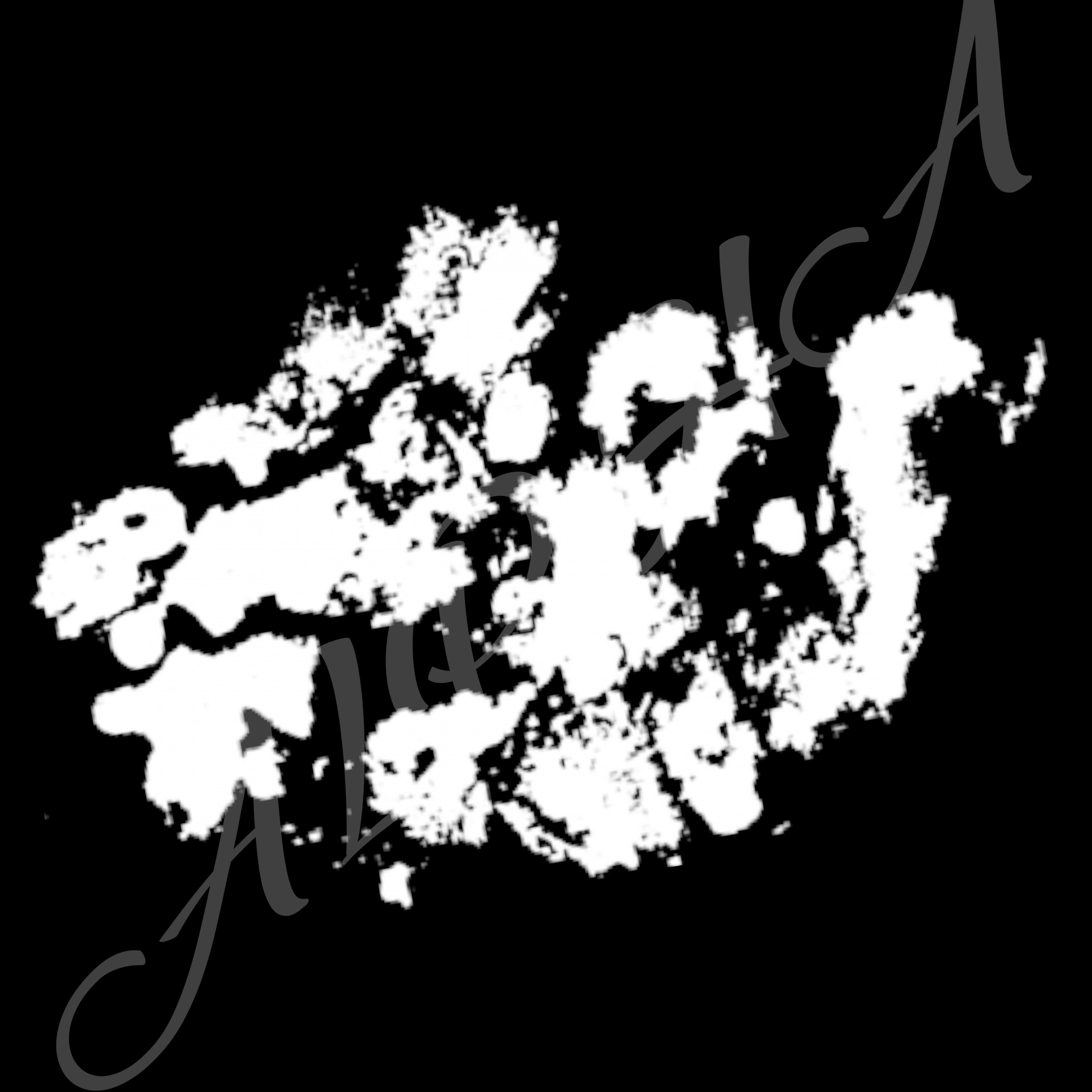 Skin 240 Alpha Patterns 4K Size Full Pack - 3D Texture by chiraggg_02