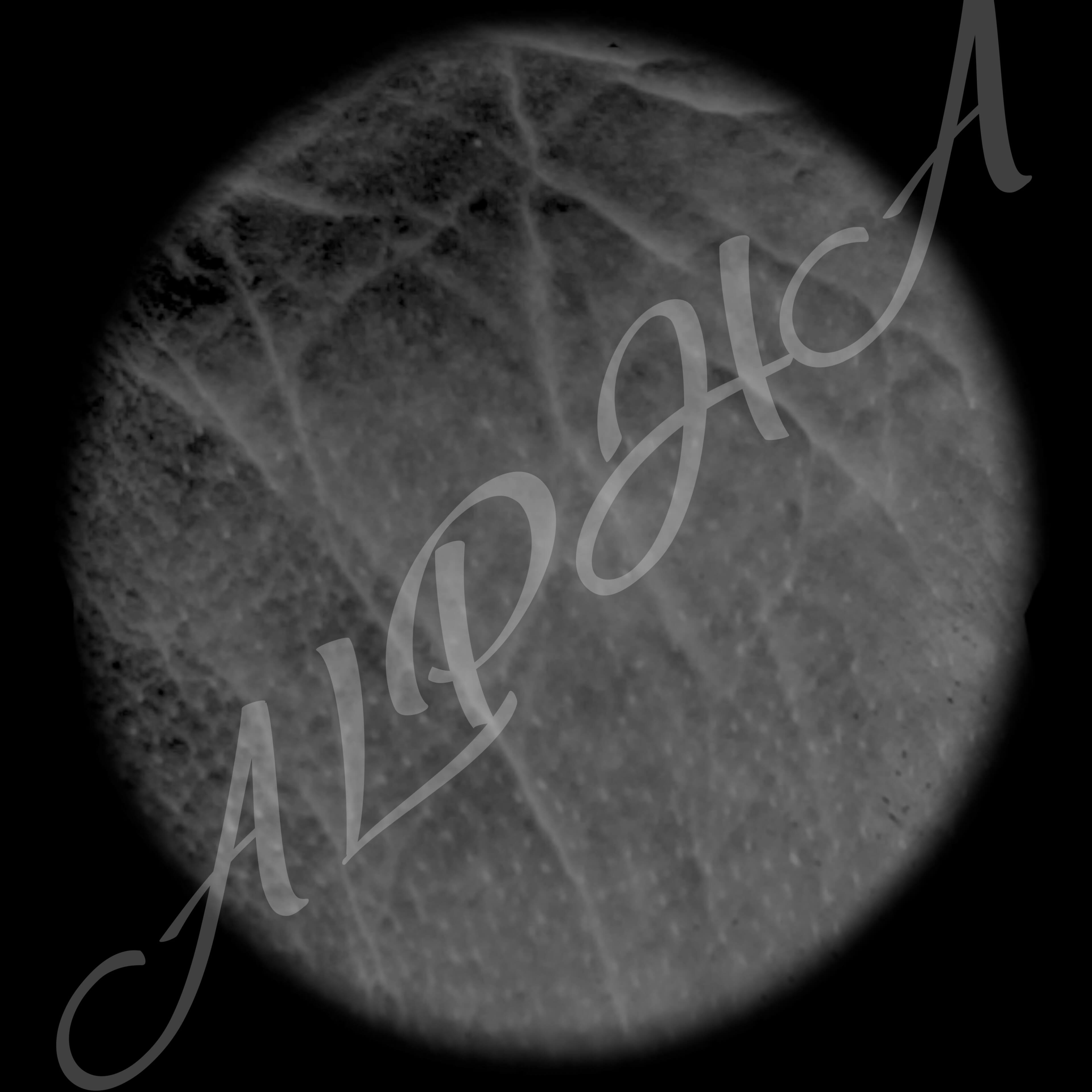 Skin 240 Alpha Patterns 4K Size Full Pack - 3D Texture by chiraggg_02