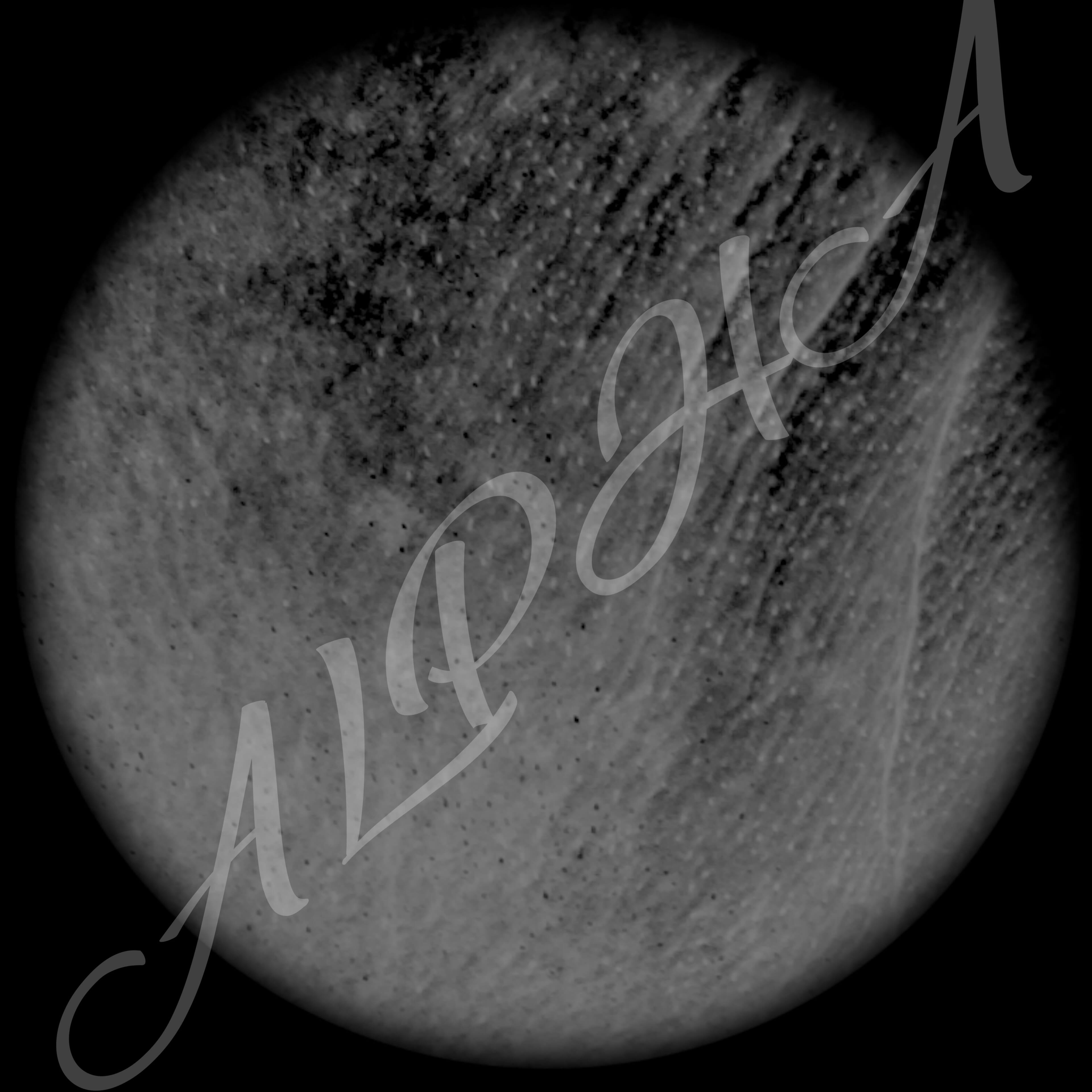 Skin 240 Alpha Patterns 4K Size Full Pack - 3D Texture by chiraggg_02