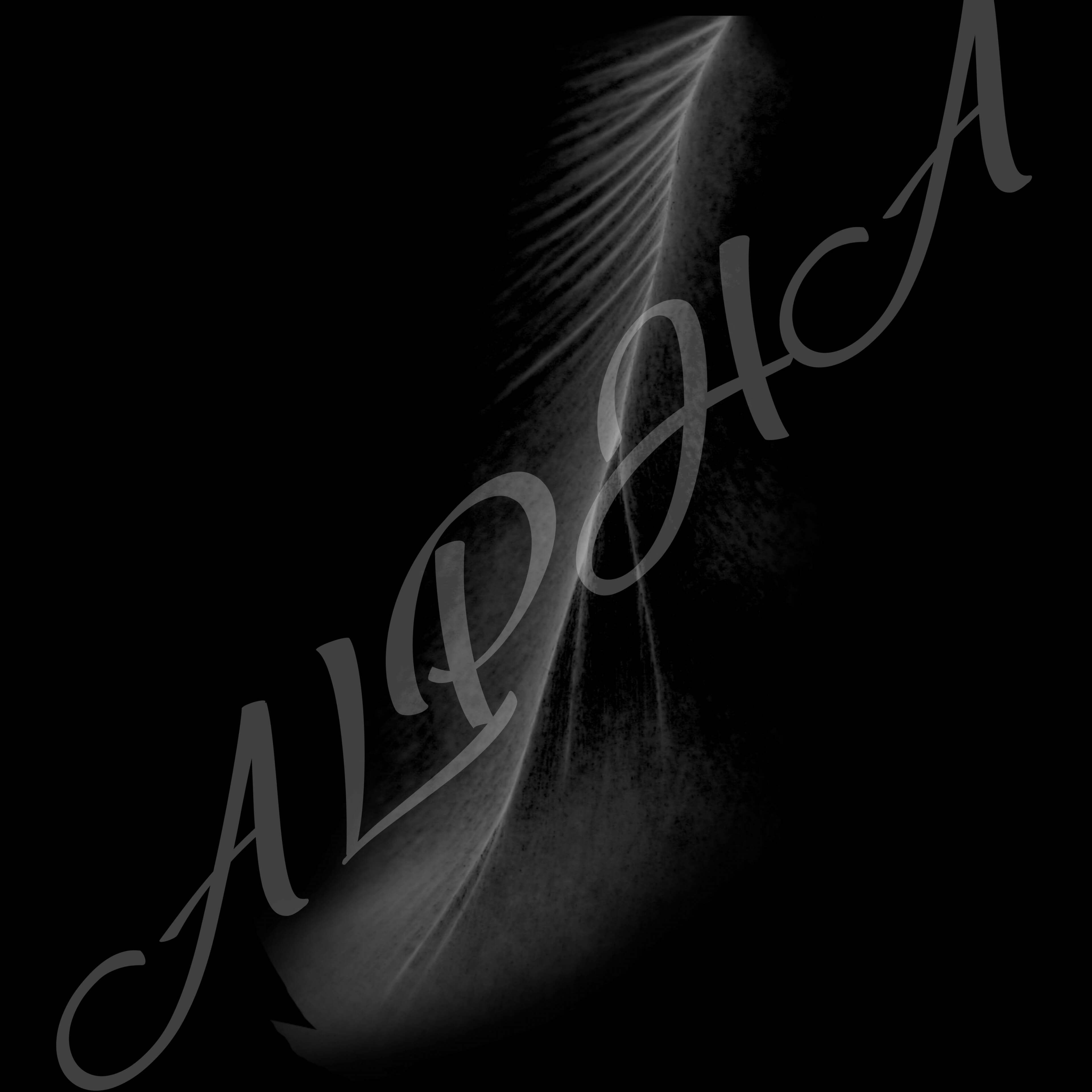 Skin 240 Alpha Patterns 4K Size Full Pack - 3D Texture by chiraggg_02