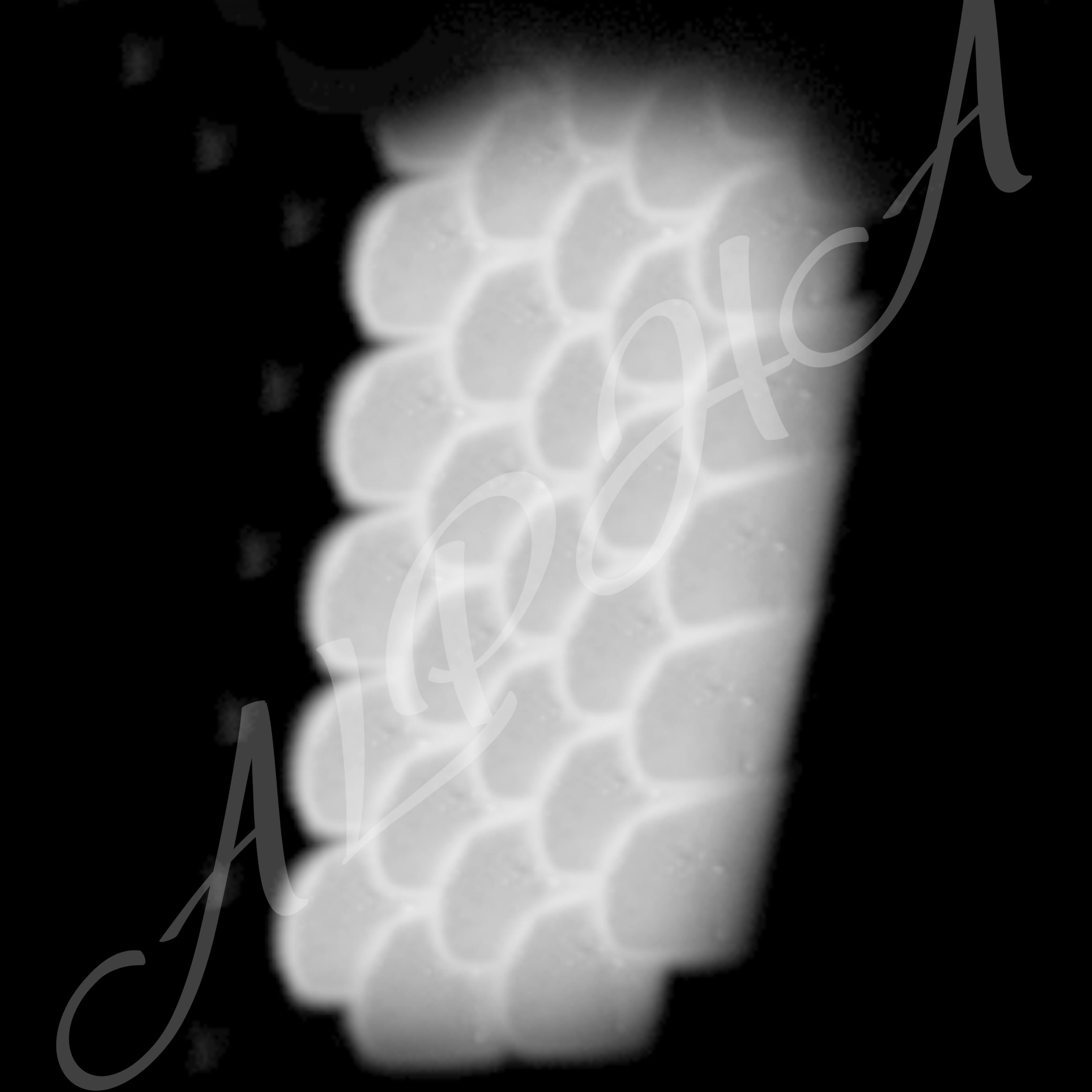 Skin 360 Alpha Patterns 4K Size Full Pack - 3D Texture by chiraggg_02