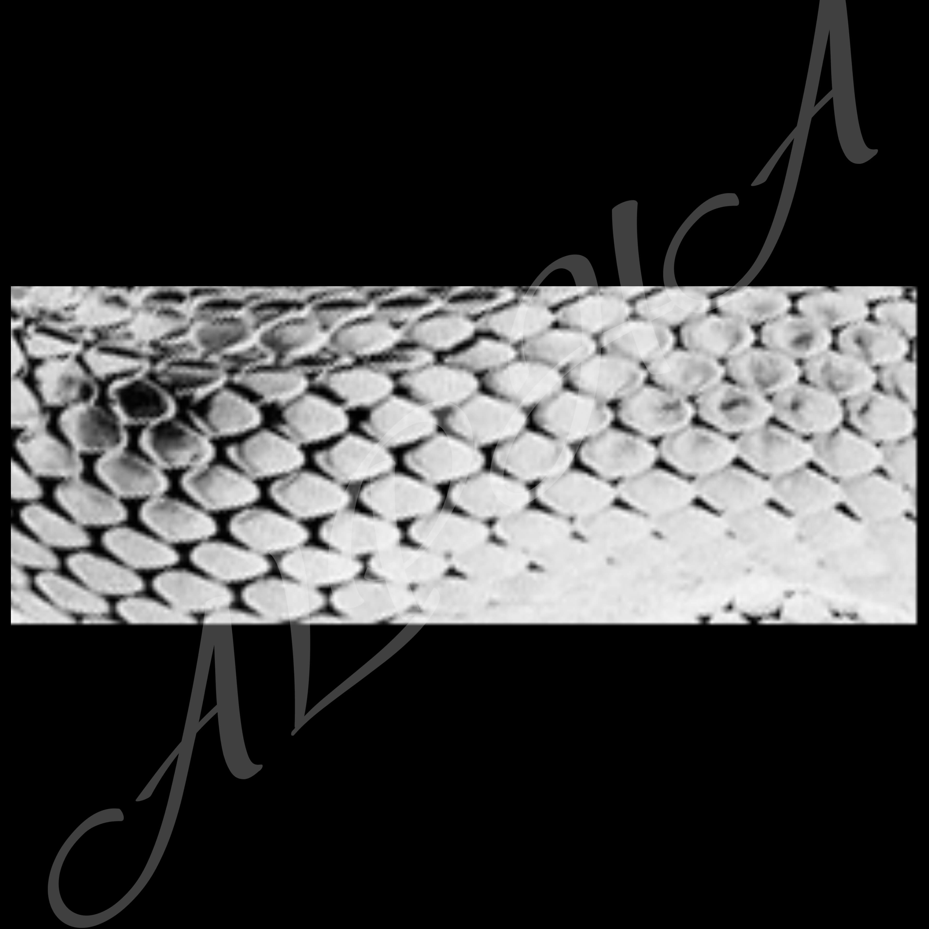 Skin 360 Alpha Patterns 4K Size Full Pack - 3D Texture by chiraggg_02