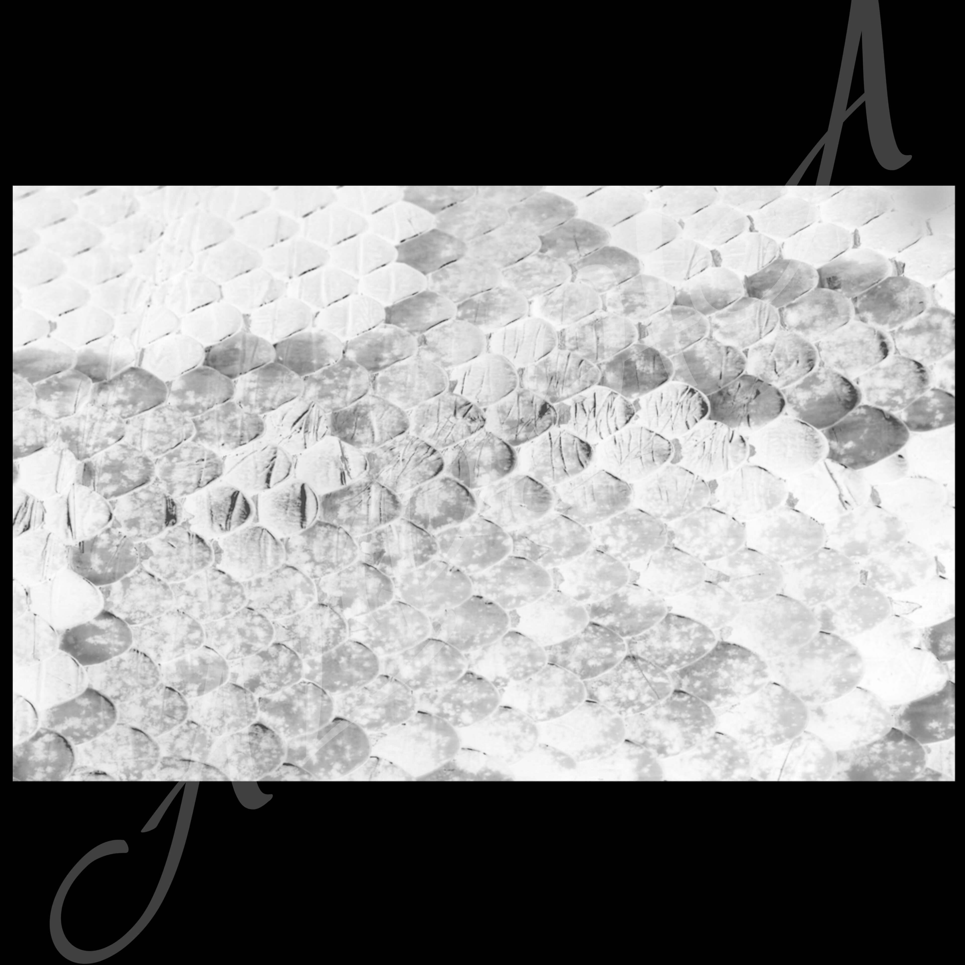 Skin 360 Alpha Patterns 4K Size Full Pack by chiraggg_02