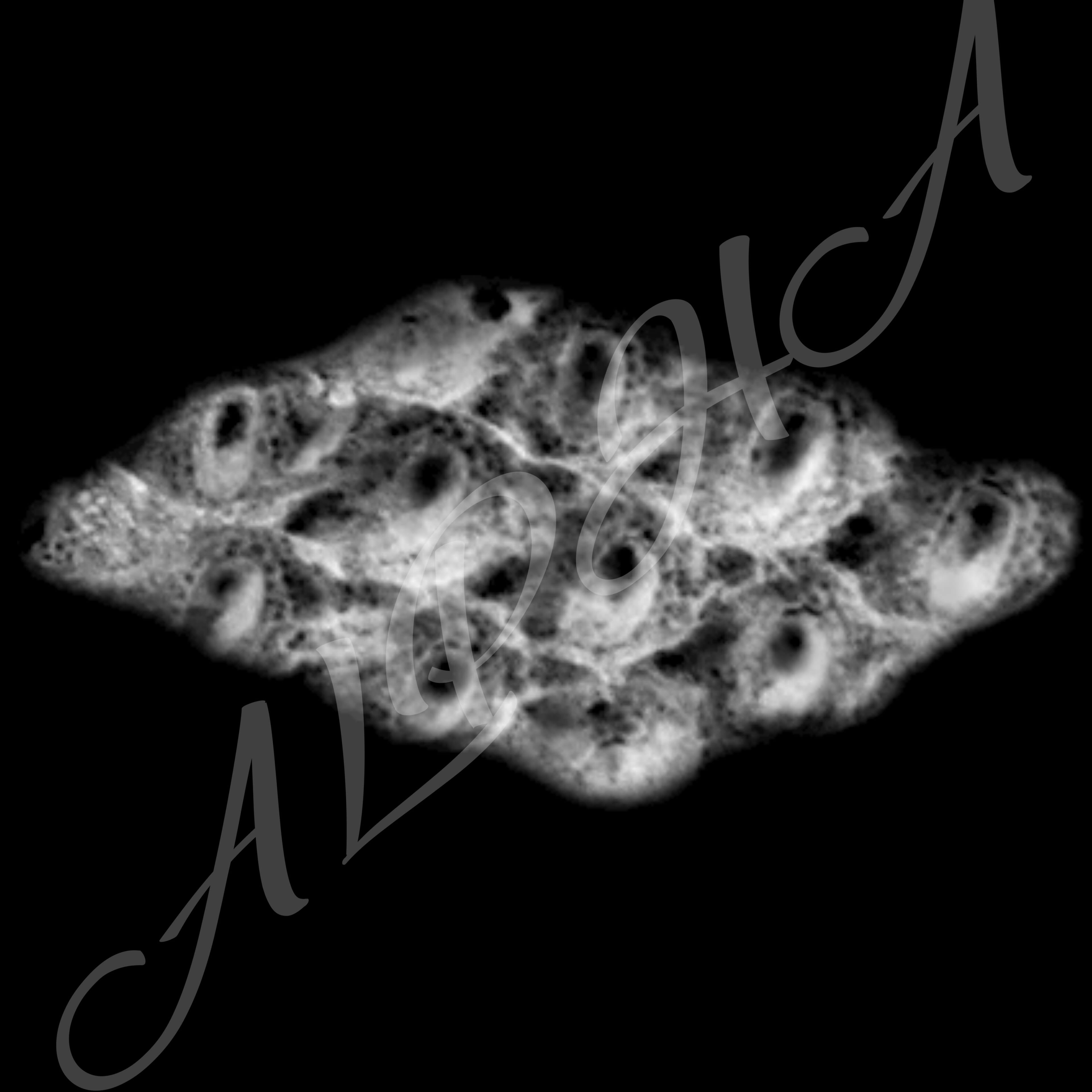 Skin 480 Alpha Patterns 4K Size Full Pack - 3D Texture by chiraggg_02