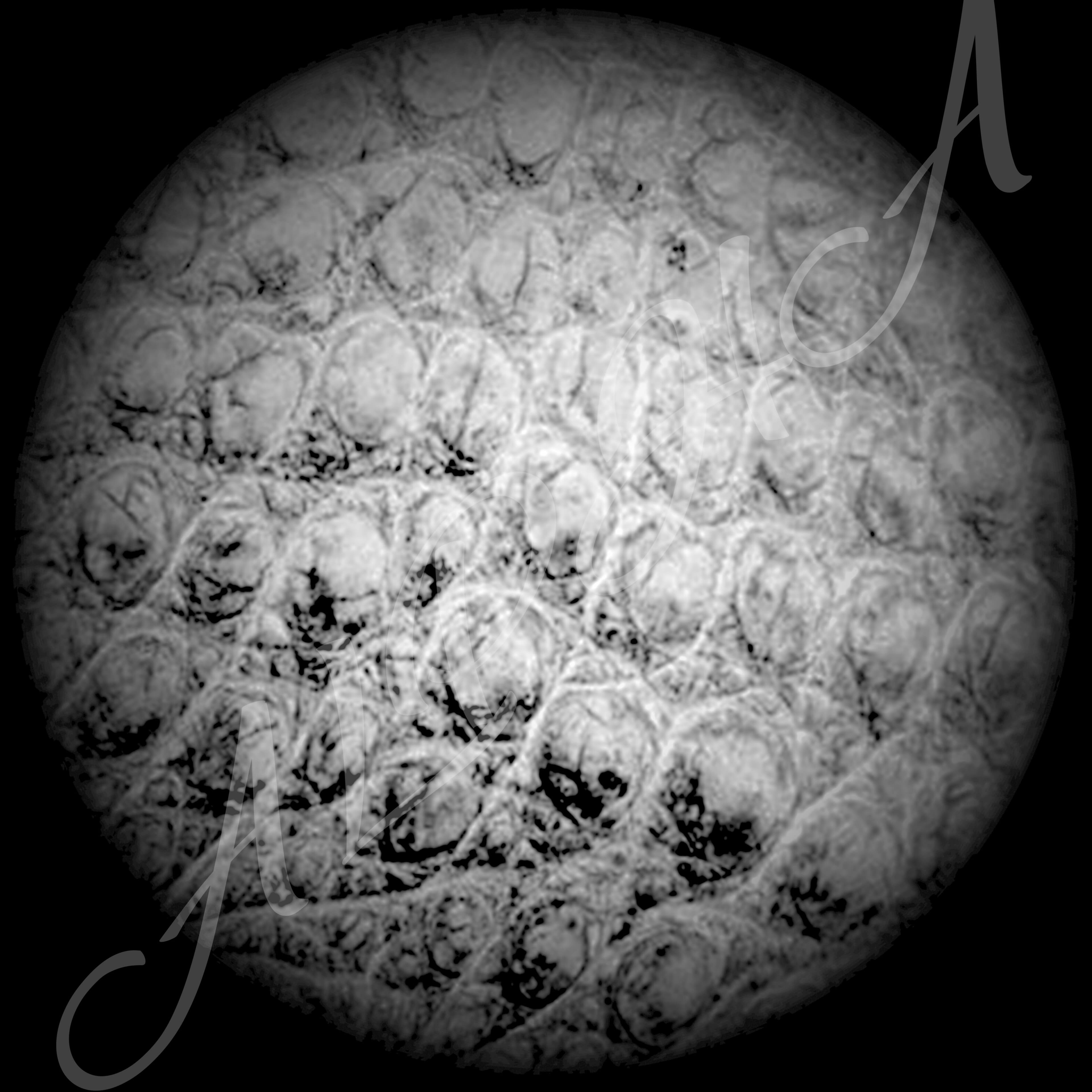 Skin 480 Alpha Patterns 4K Size Full Pack - 3D Texture by chiraggg_02