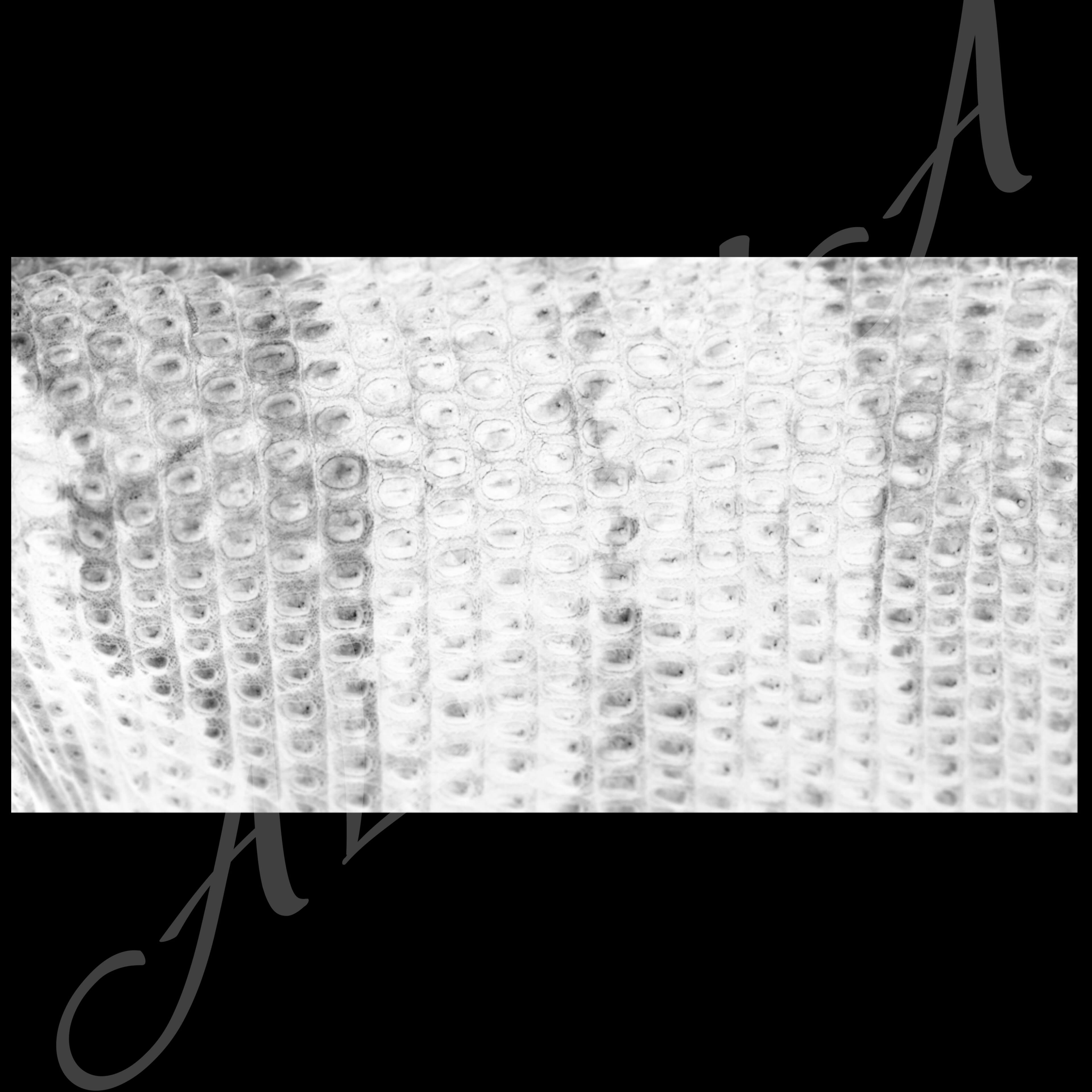 Skin 480 Alpha Patterns 4K Size Full Pack - 3D Texture by chiraggg_02