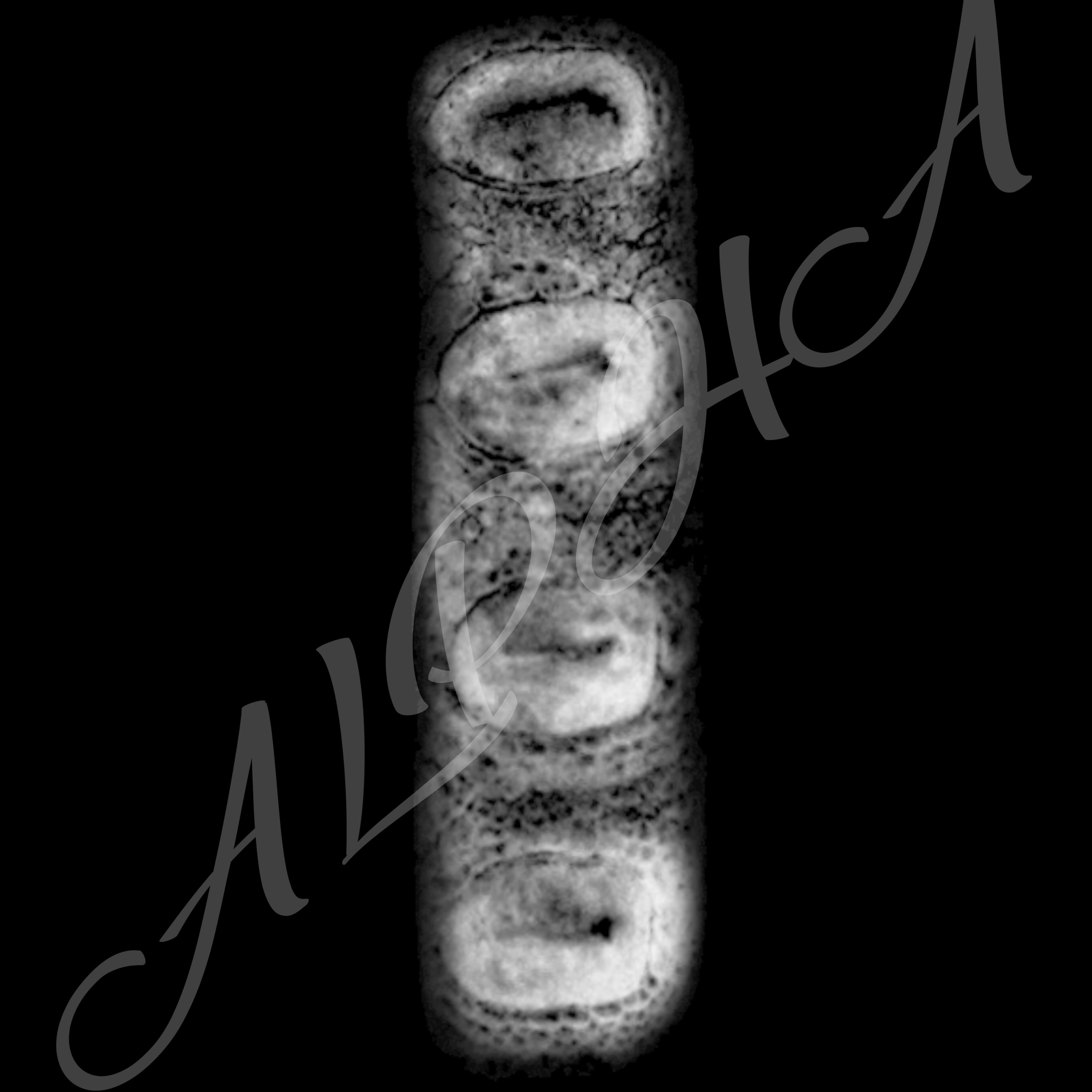 Skin 600 Alpha Patterns 4K Size Full Pack - 3D Texture by chiraggg_02