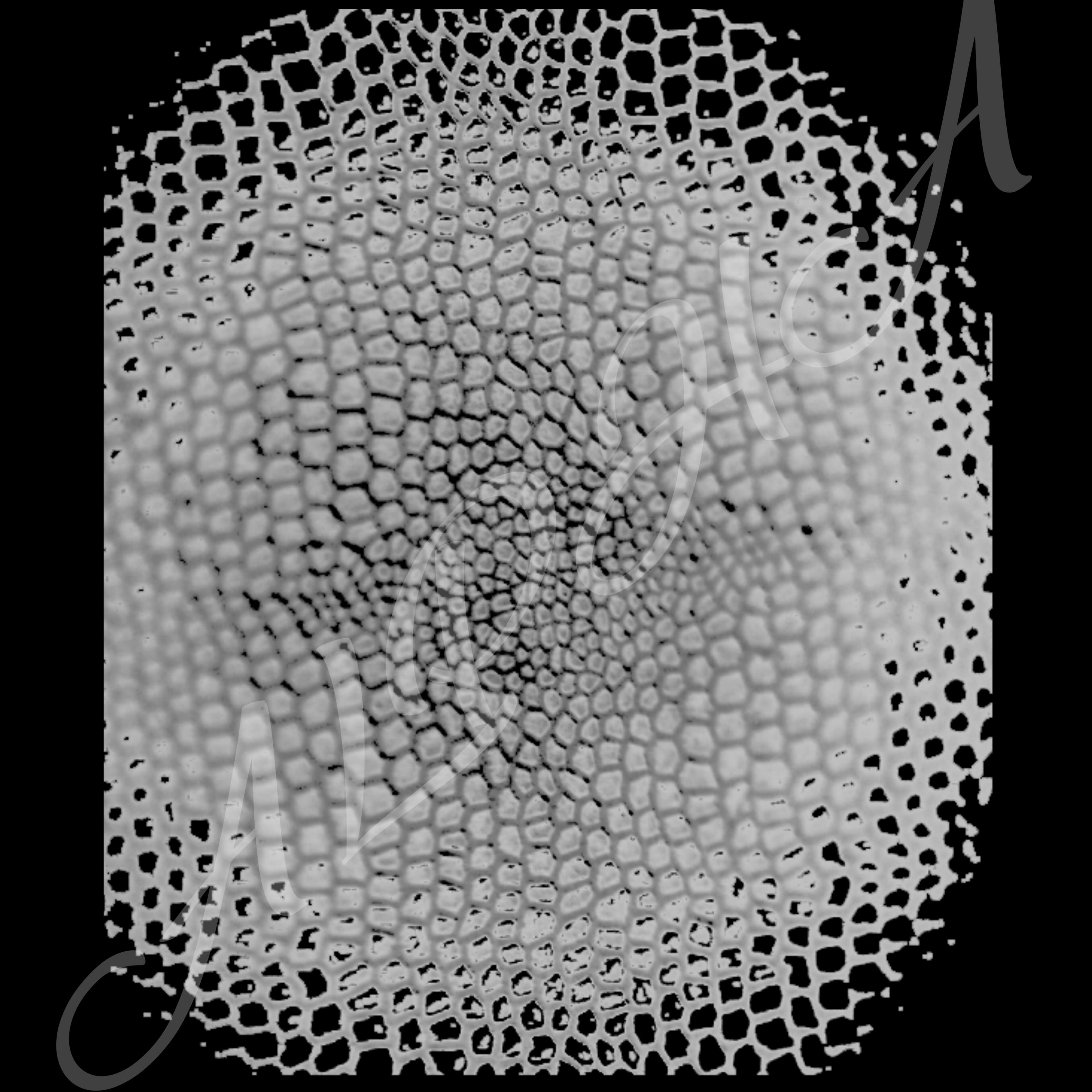 Skin 600 Alpha Patterns 4K Size Full Pack - 3D Texture by chiraggg_02