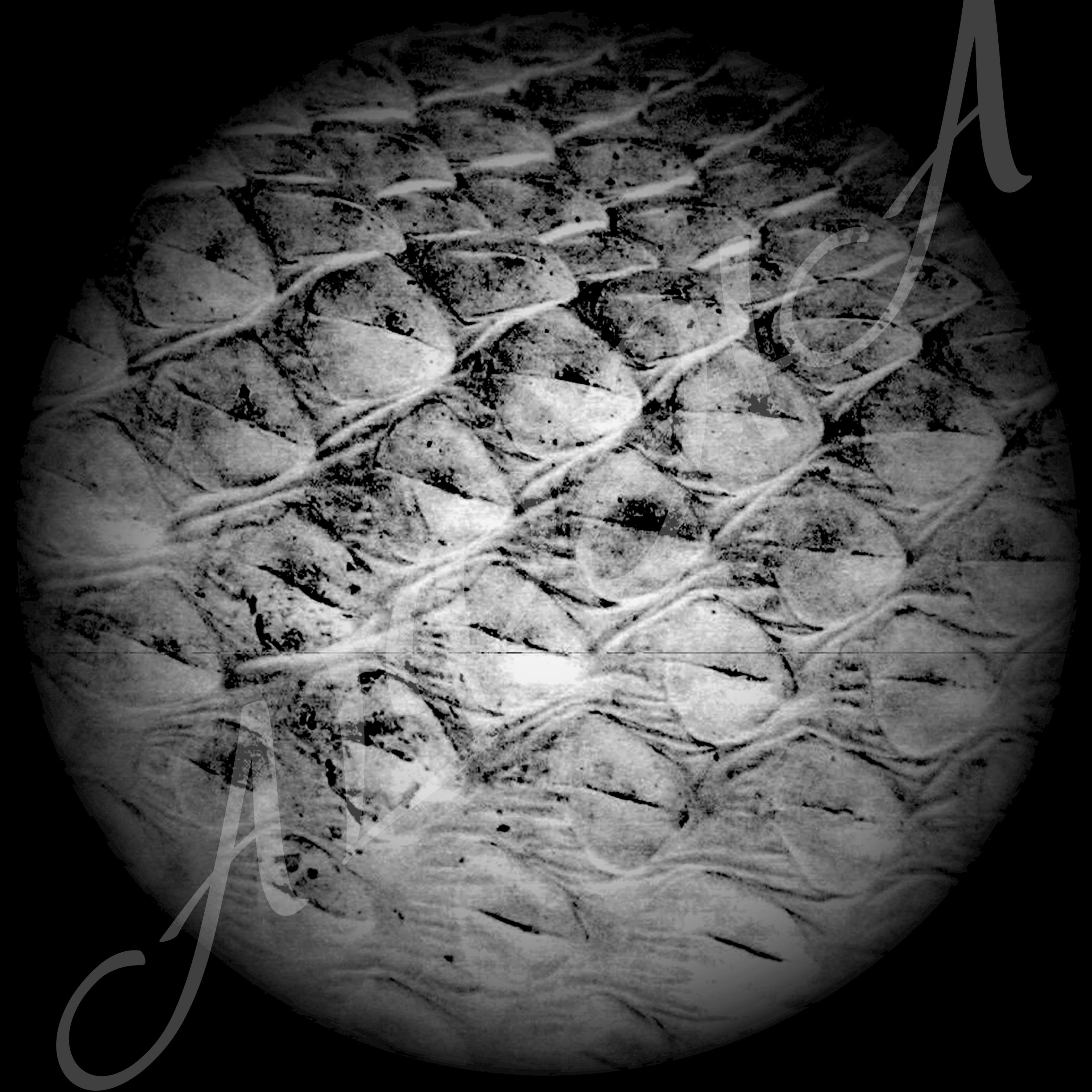 Skin 600 Alpha Patterns 4K Size Full Pack - 3D Texture by chiraggg_02