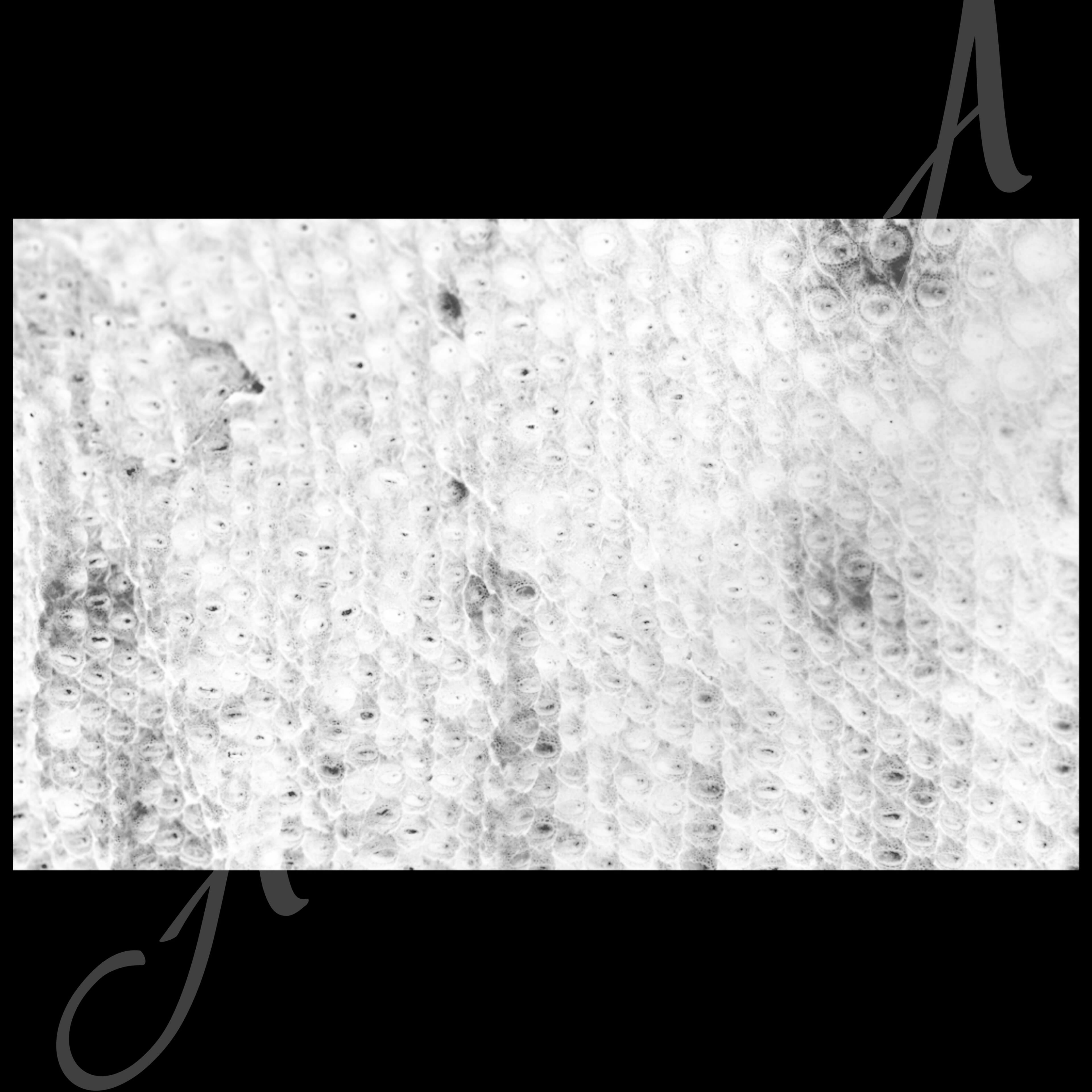 Skin 600 Alpha Patterns 4K Size Full Pack by chiraggg_02