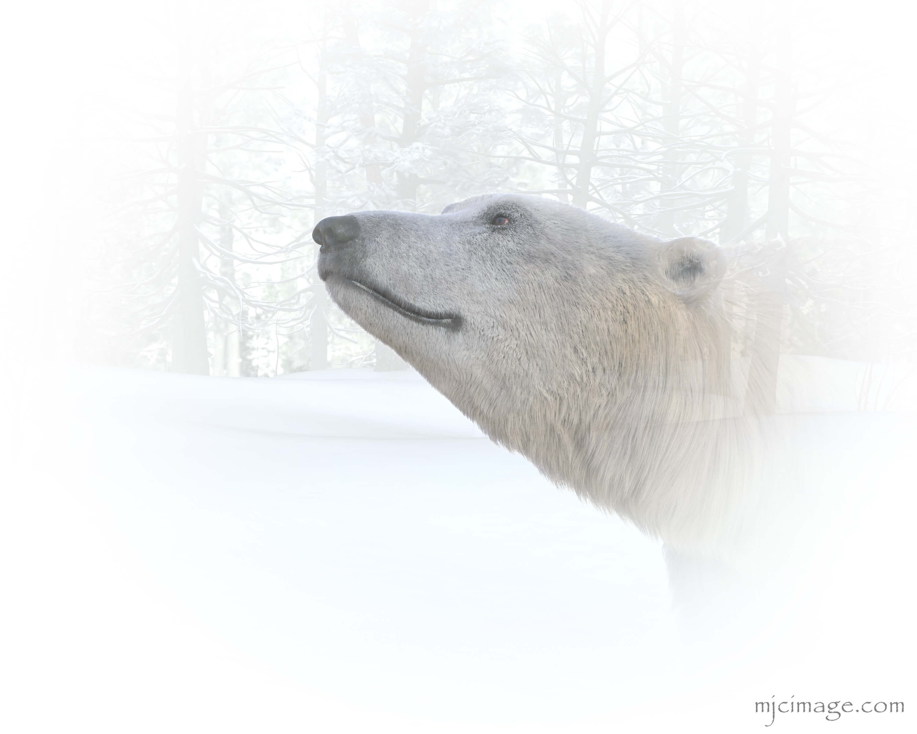 Polar Bear 3D Render, Digital Art by chmielewski
